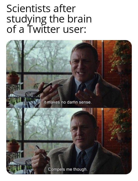 That's one smooth brain | Scrolller