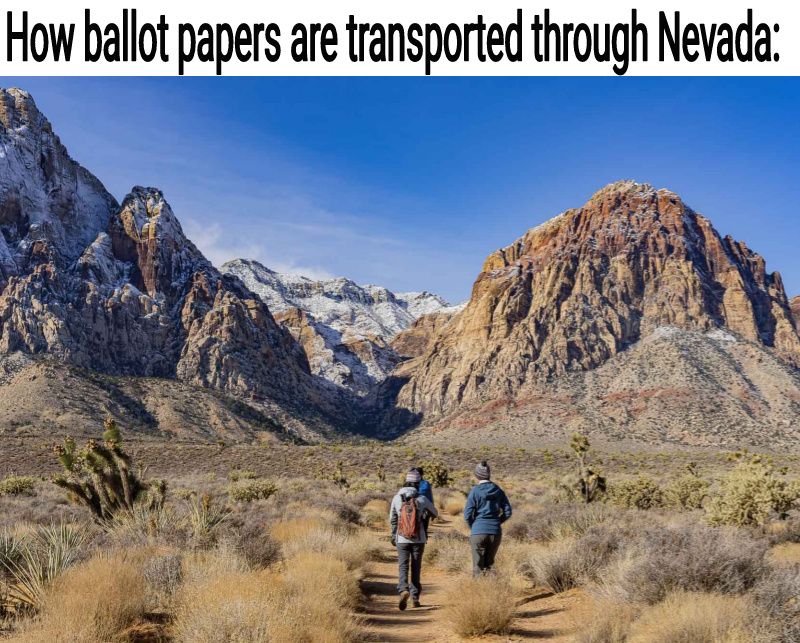 That's the real reason | Scrolller