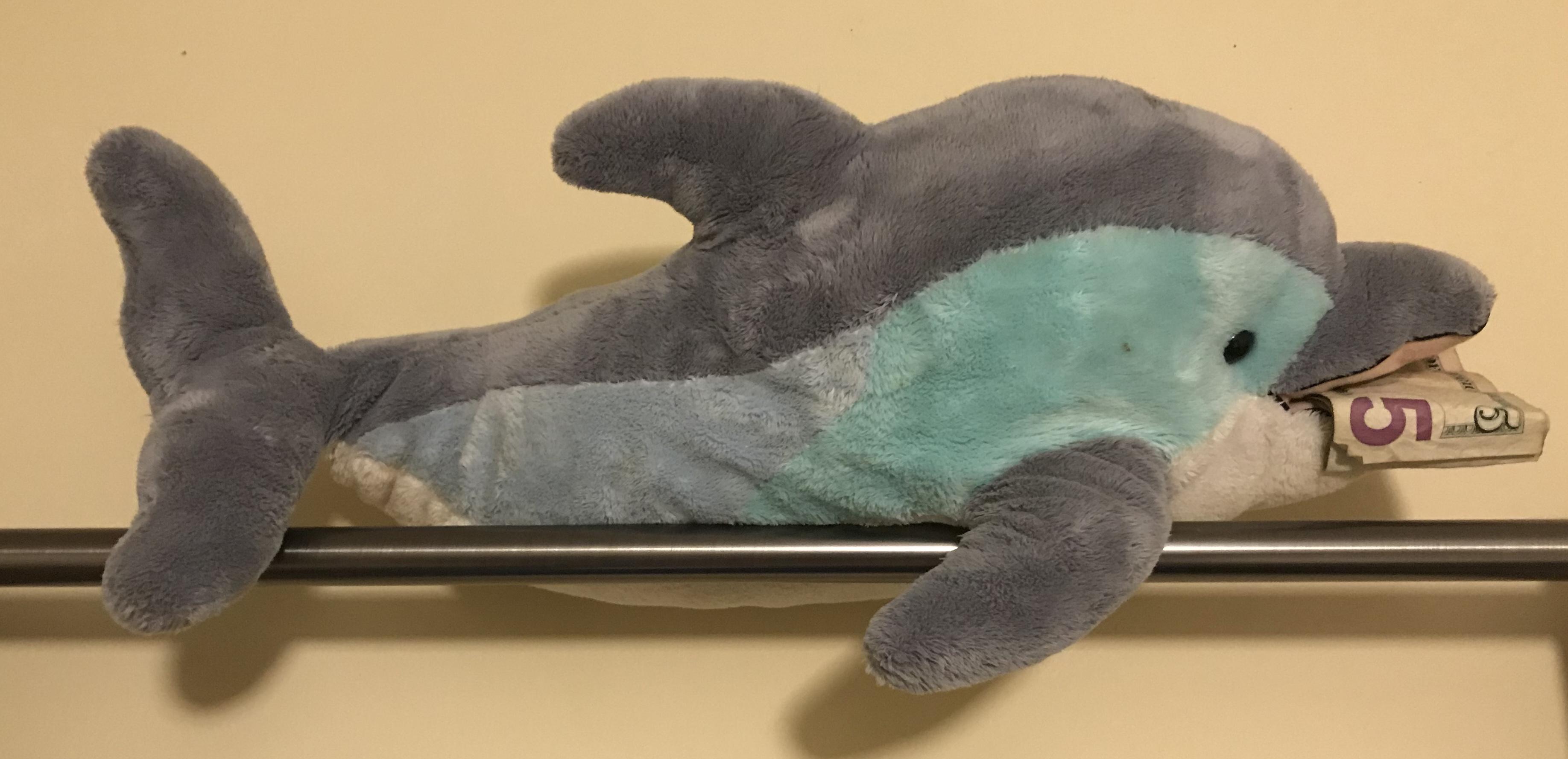 The $12 Stuffed Dolphin, Me, Racks on Racks, 2021 | Scrolller