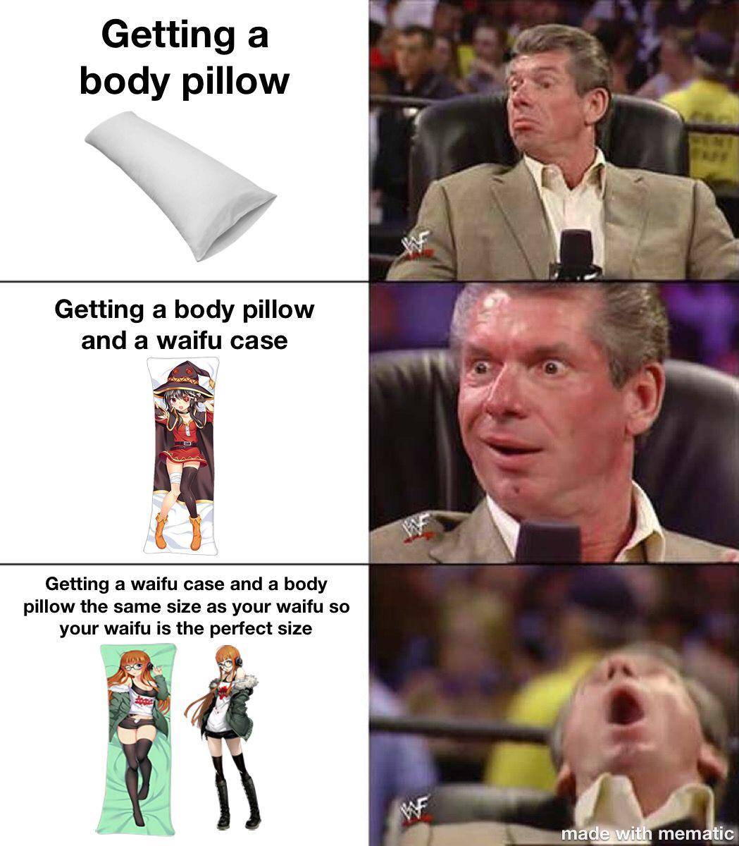 The absolute perfect pillow | Scrolller