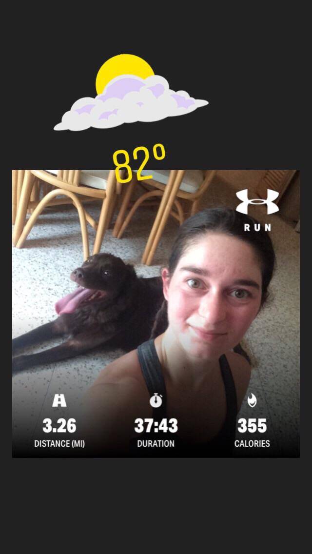 The Aftermath | Scrolller