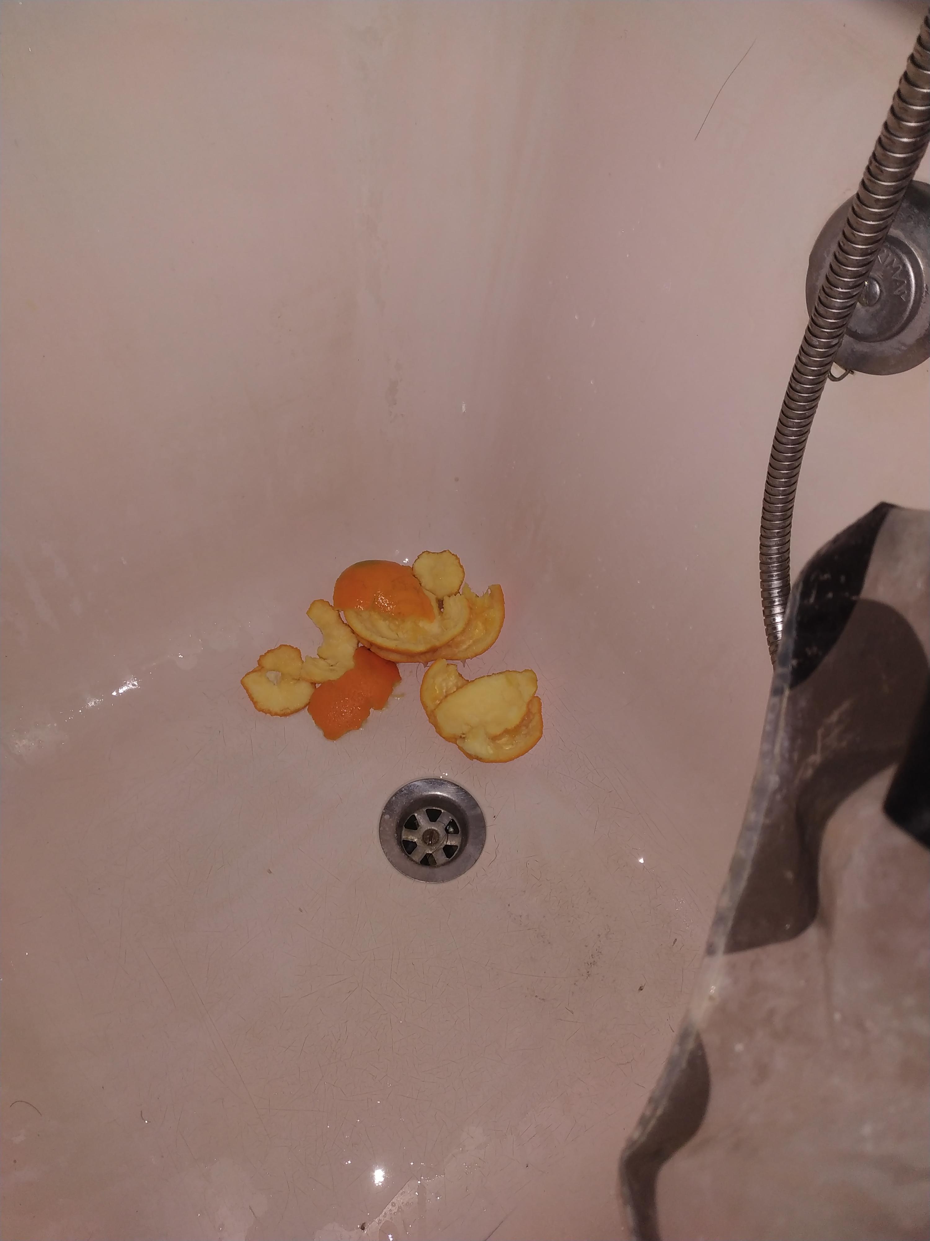 The Aftermath | Scrolller