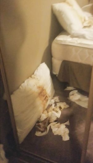 The aftermath of the room | Scrolller