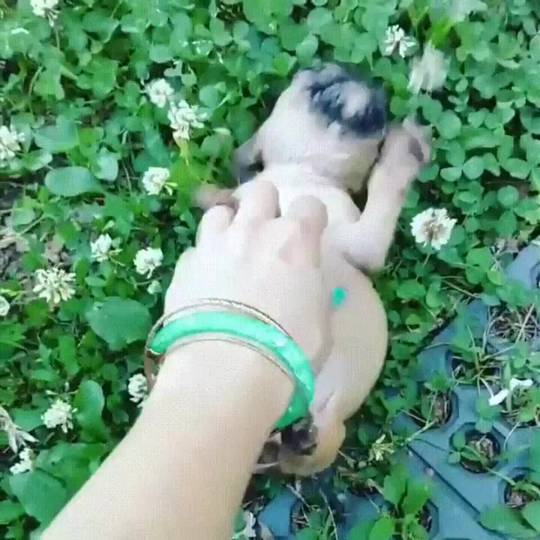 The agony! | Scrolller