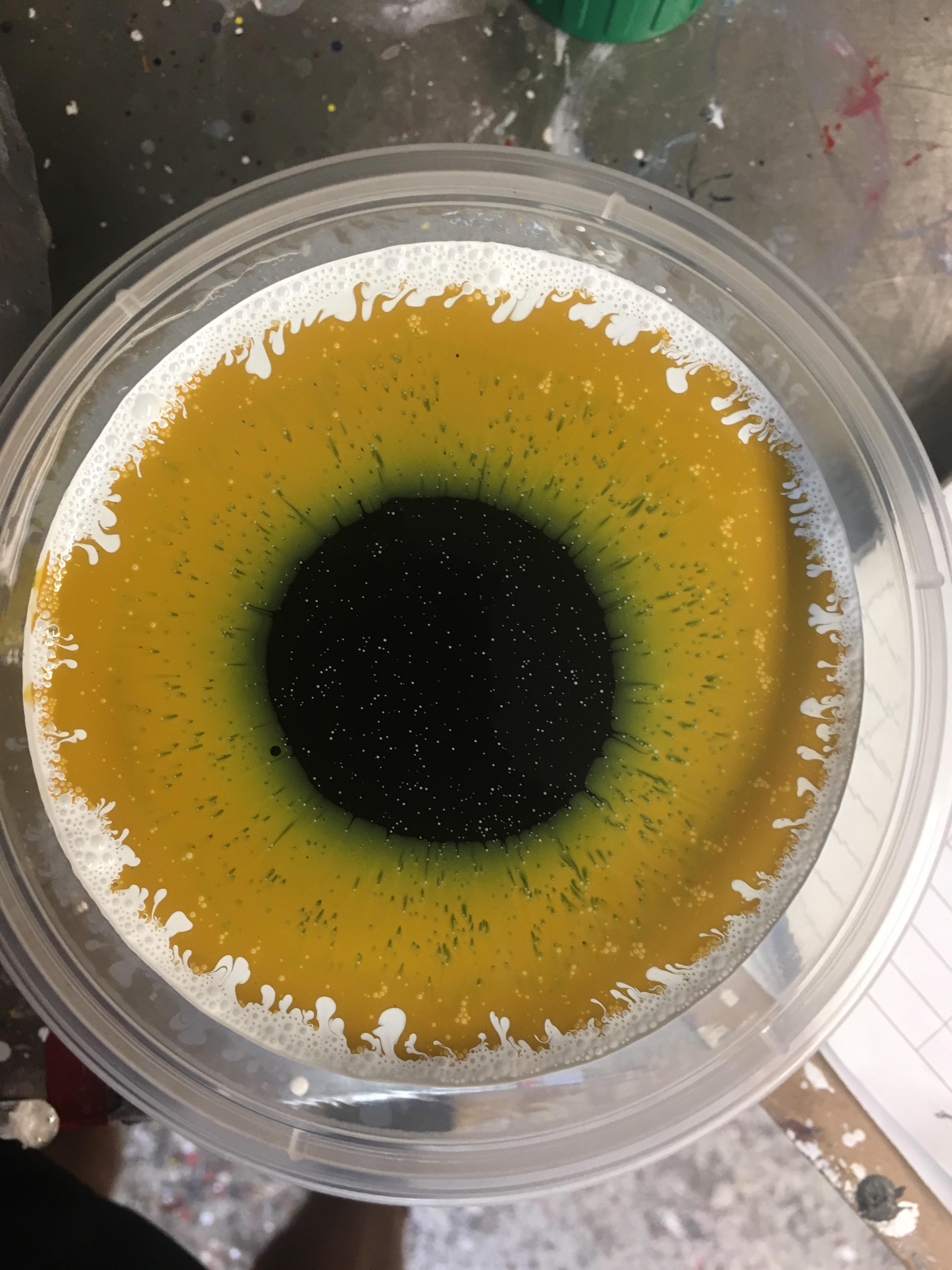 The all seeing eye | Scrolller