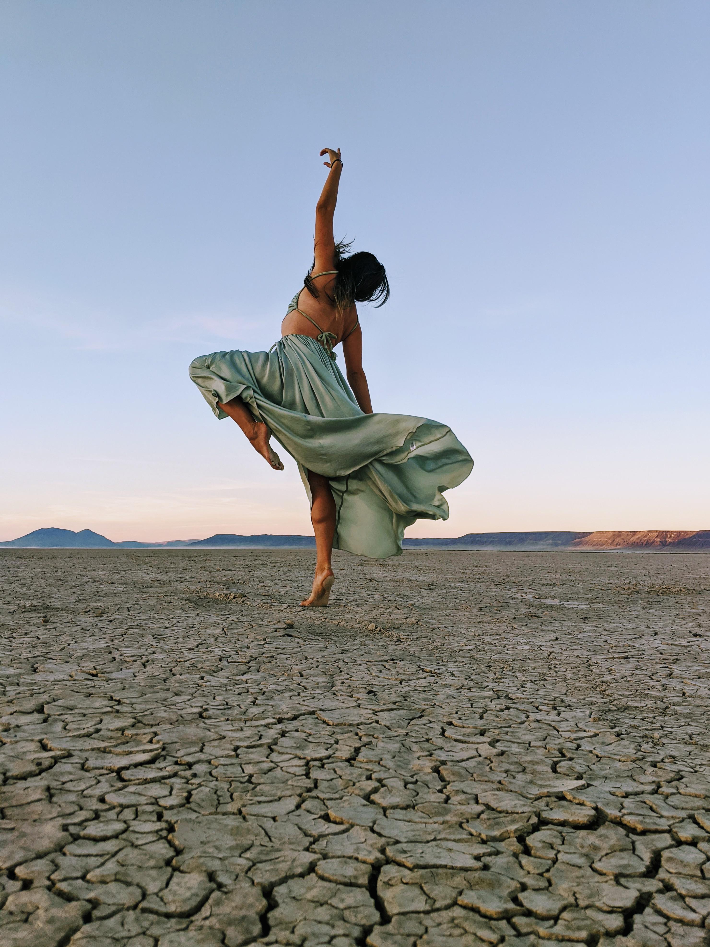 The Alvord Desert at sunset | Scrolller