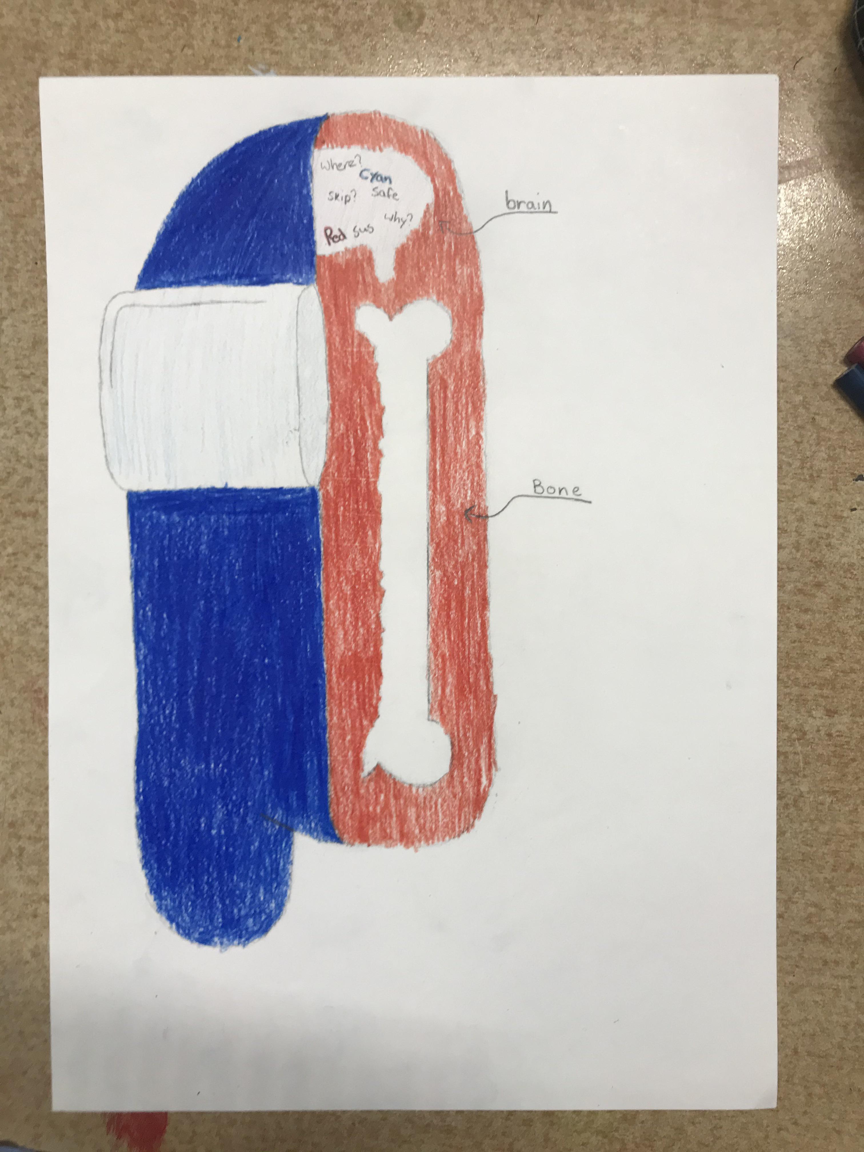 The “anatomy” of a crewmate! | Scrolller