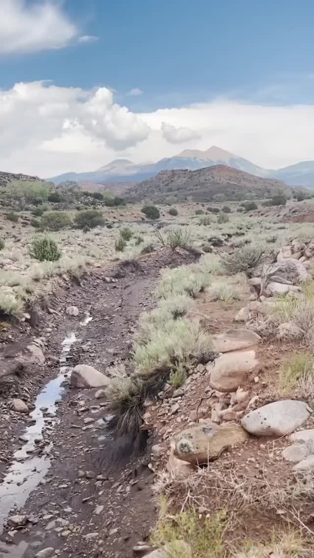 The Arrival Of A Small Flood Scrolller