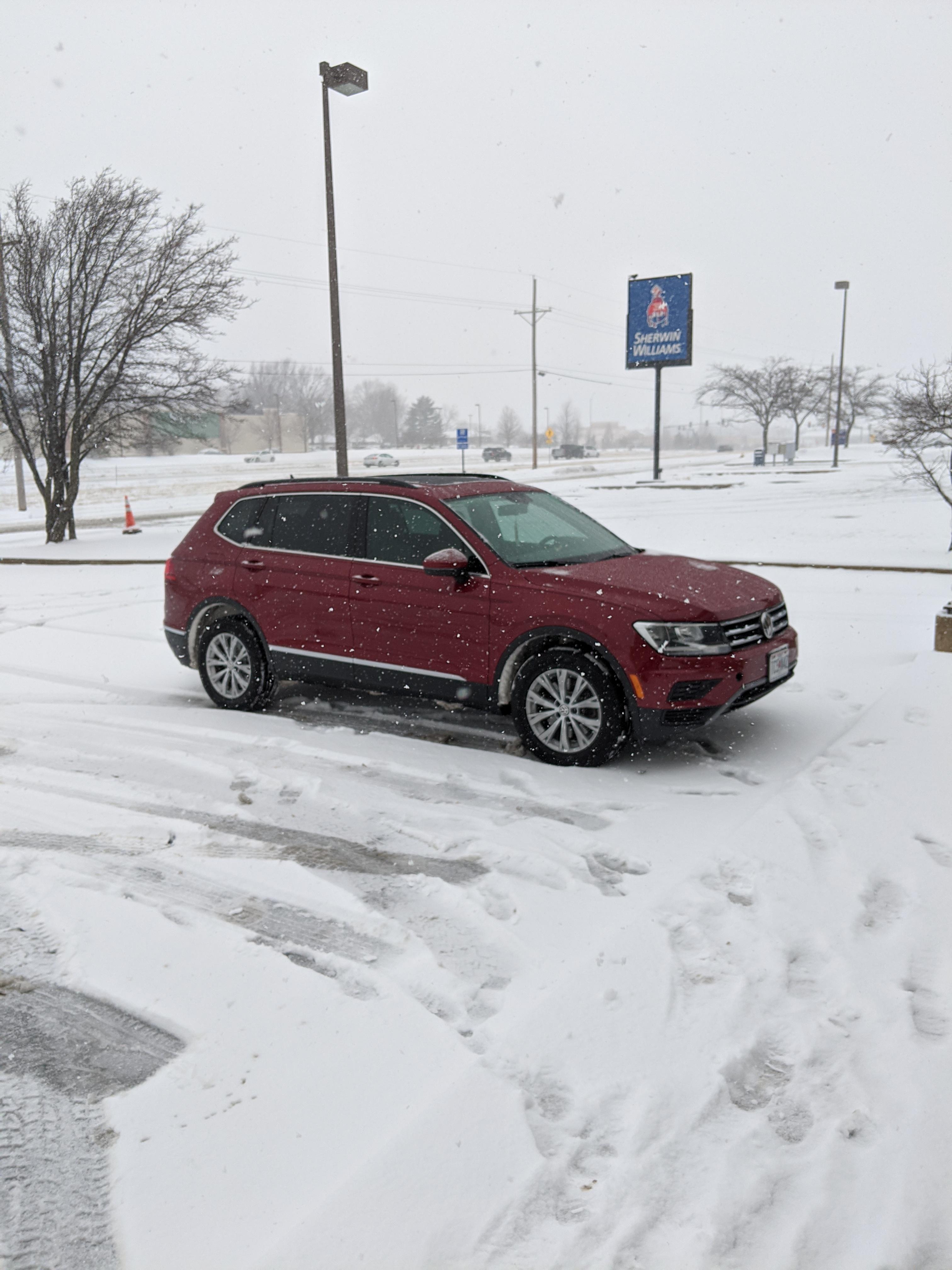 The beast | Scrolller