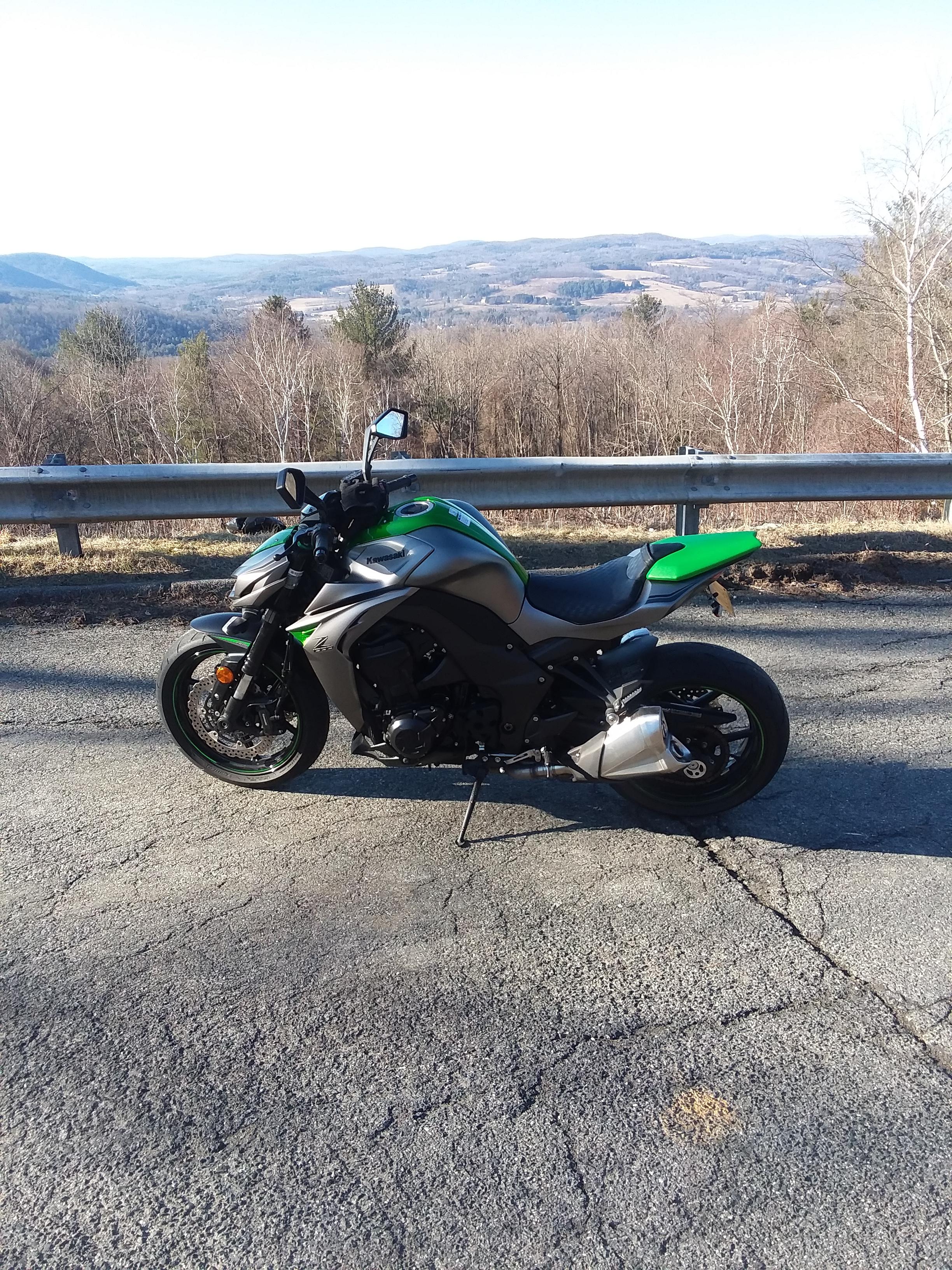 The Beast | Scrolller