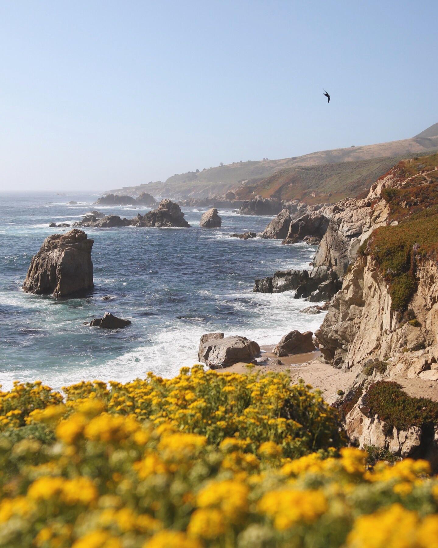 The beautiful California central coast | Scrolller