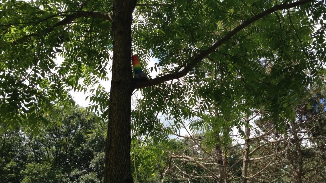 The Beginnings of a Bountiful Harvest | Scrolller