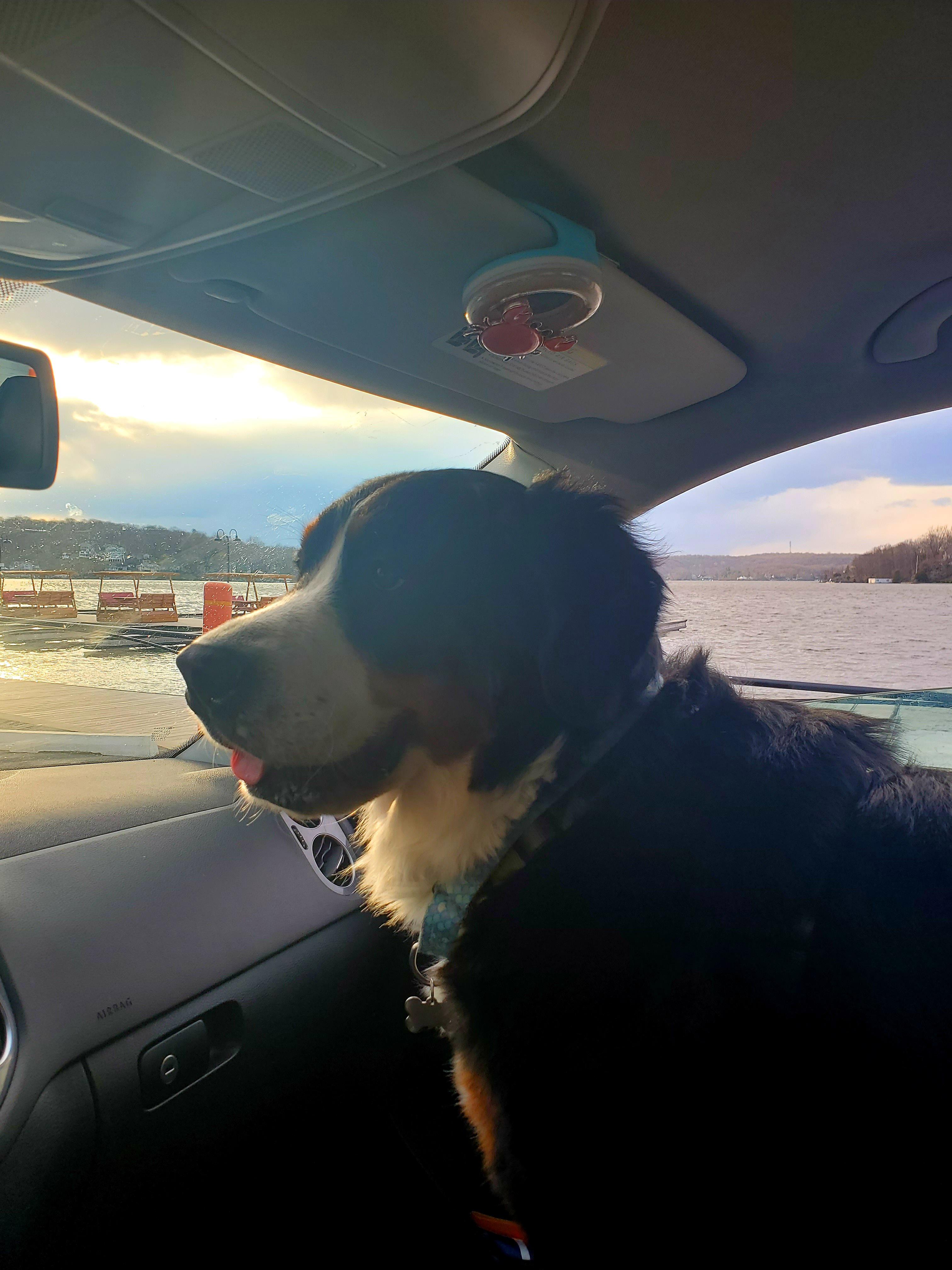 The best copilot a girl could ask for | Scrolller