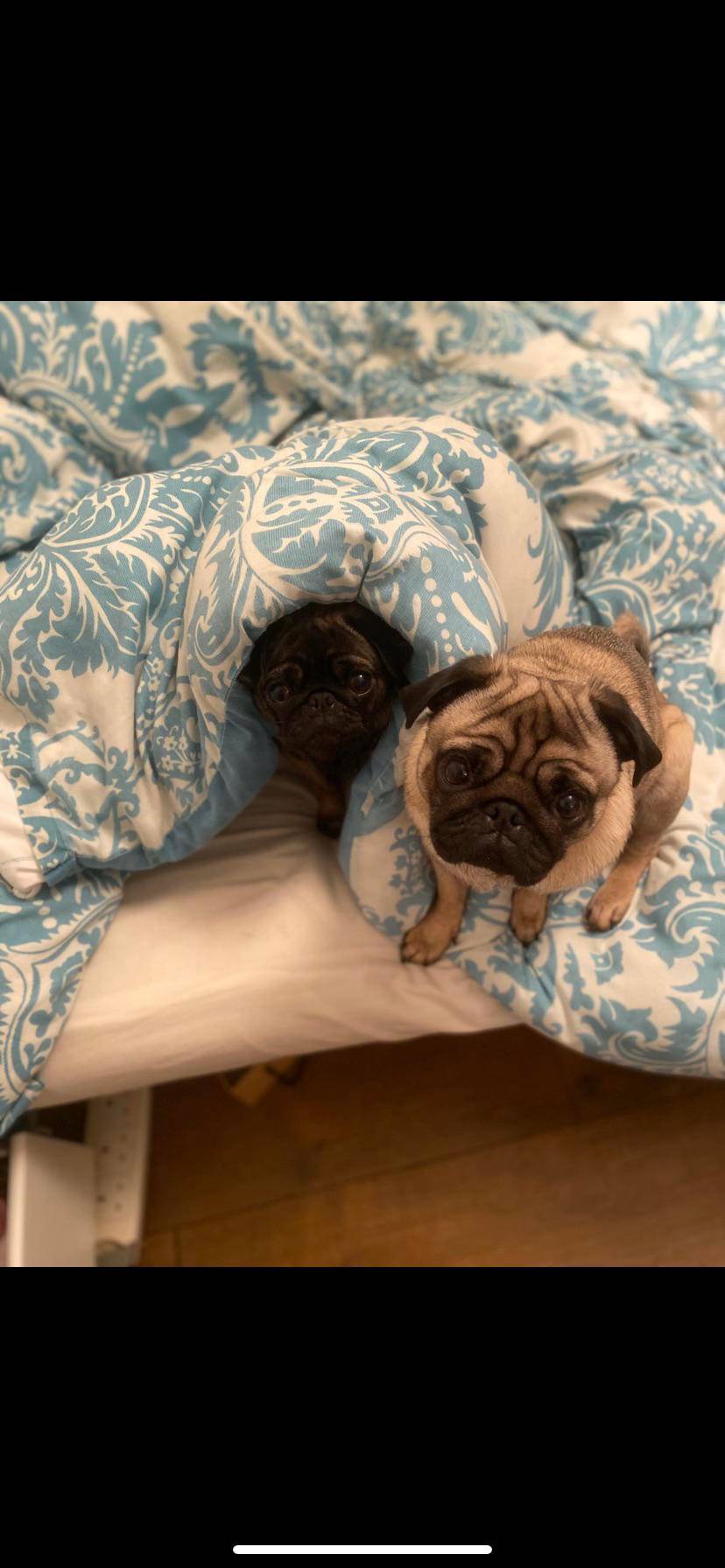 The best couple | Scrolller