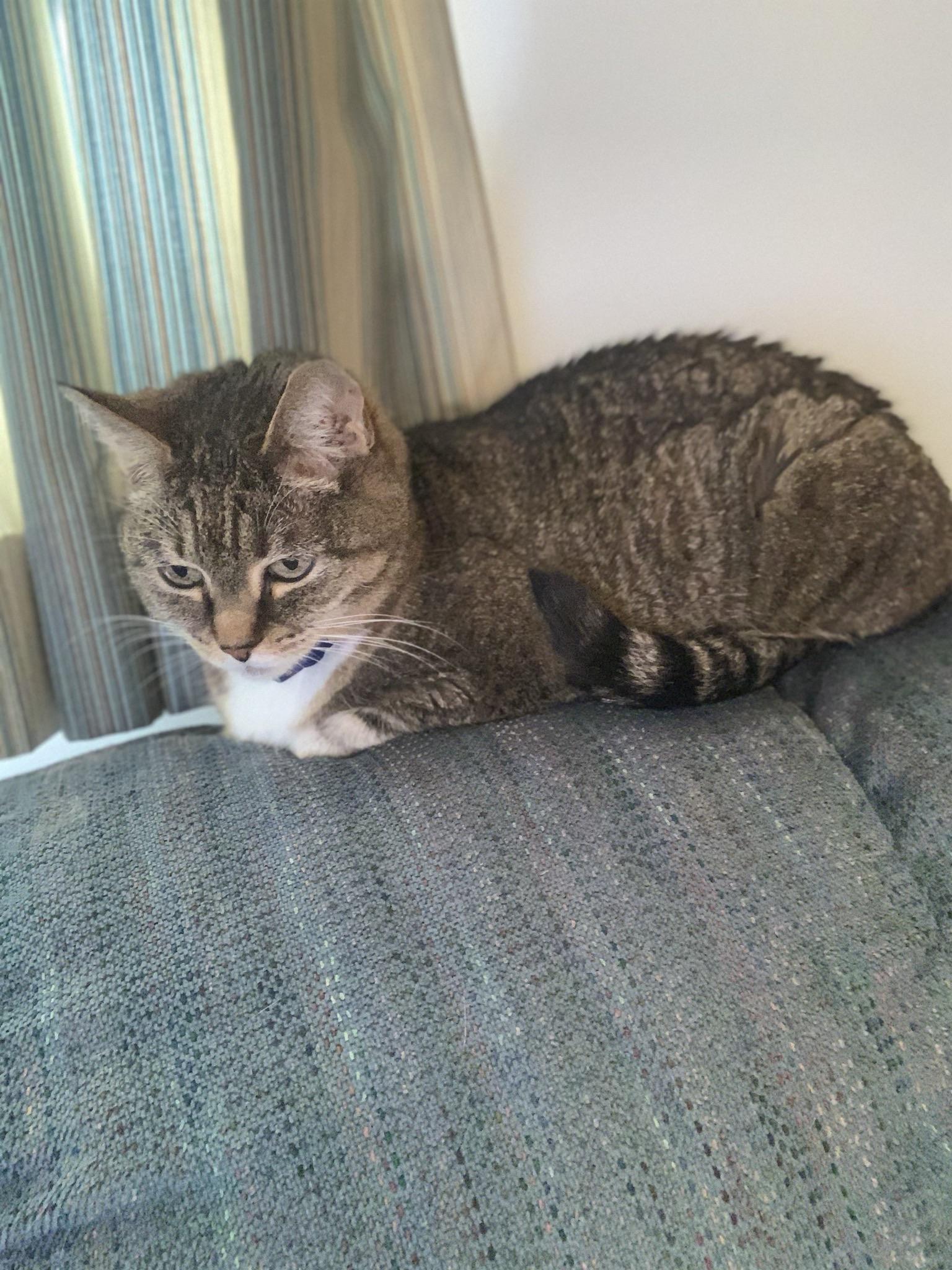 The best coworker doing a loaf | Scrolller