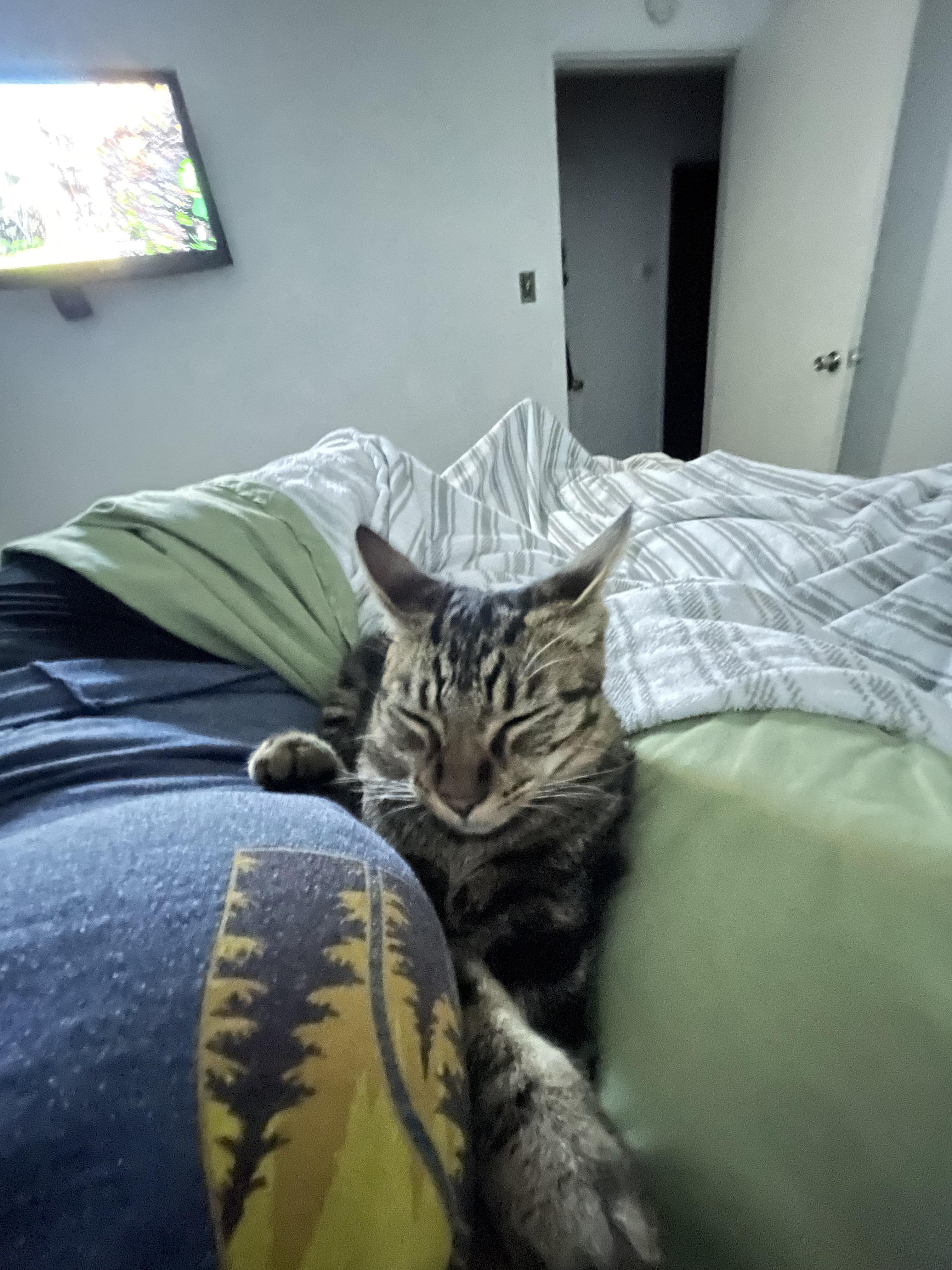 The best cuddle buddy | Scrolller