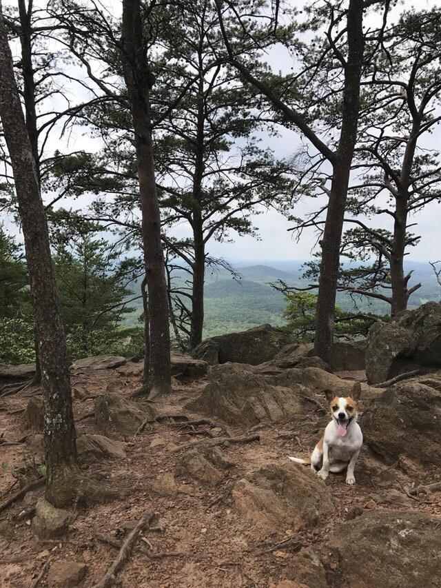 the best type of adventure partner | Scrolller