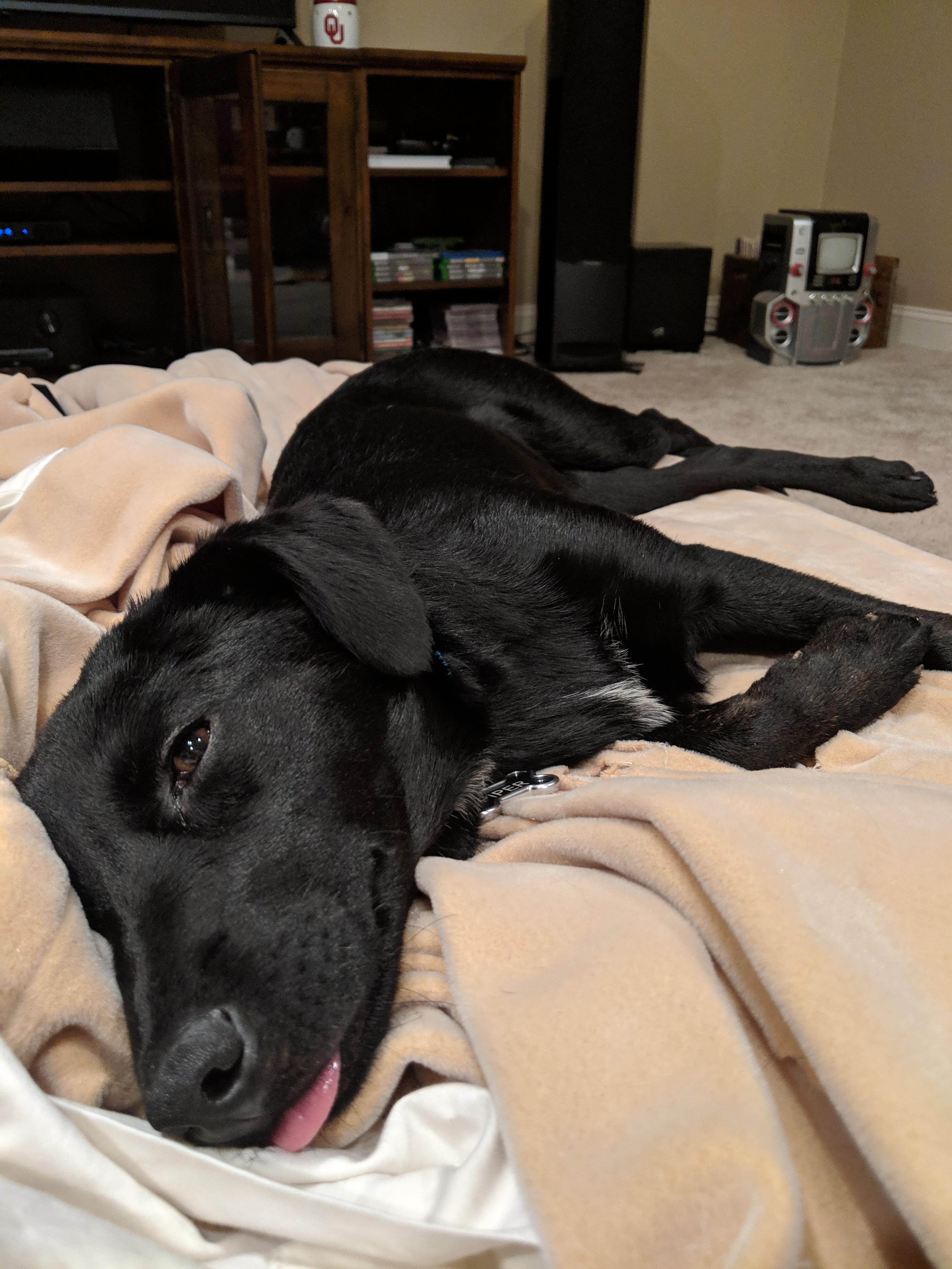 The big blop drop | Scrolller