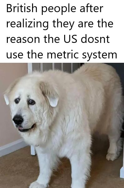 The british switched to the metric system in 1965 | Scrolller