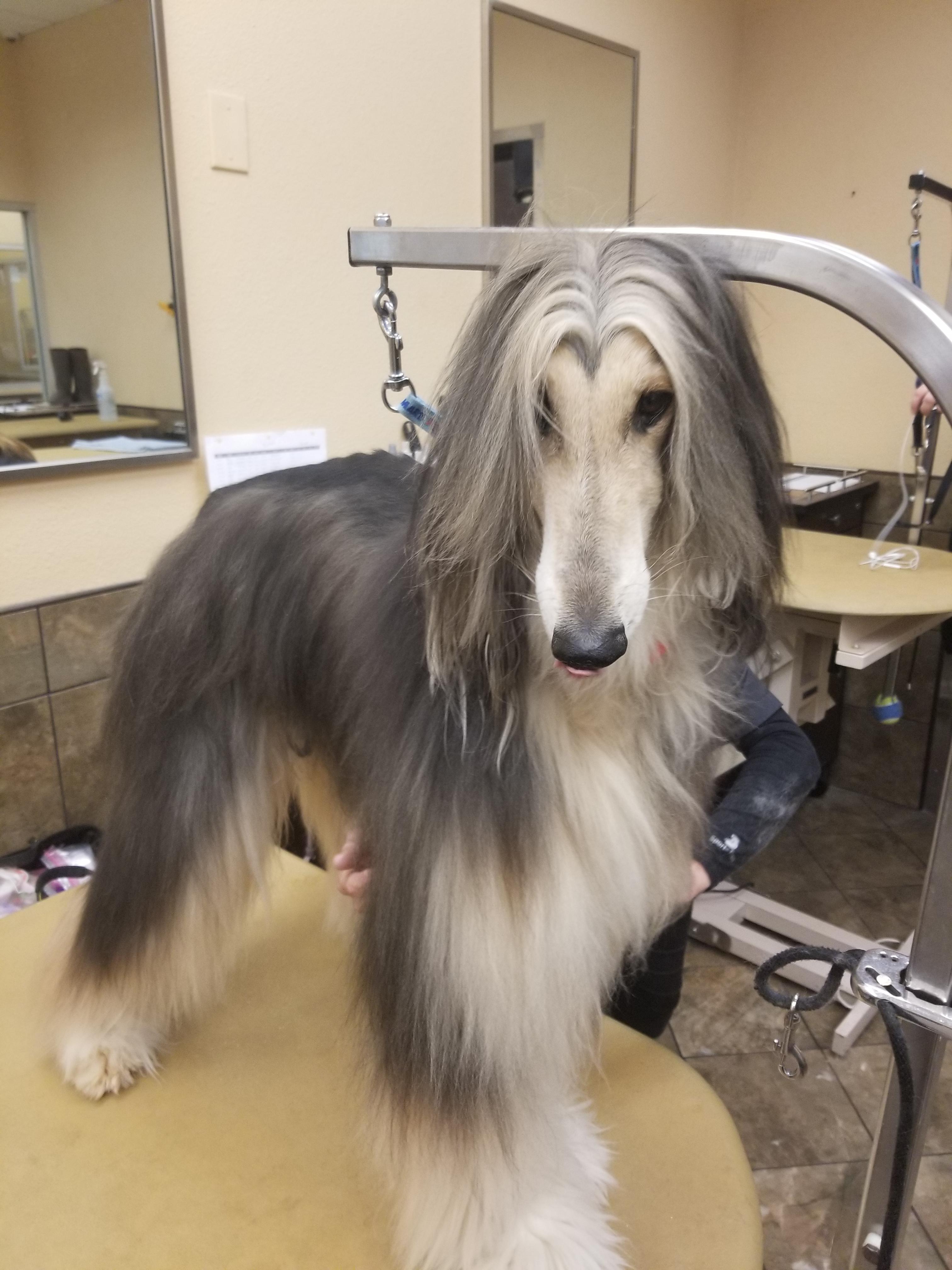 The brushing is real | Scrolller