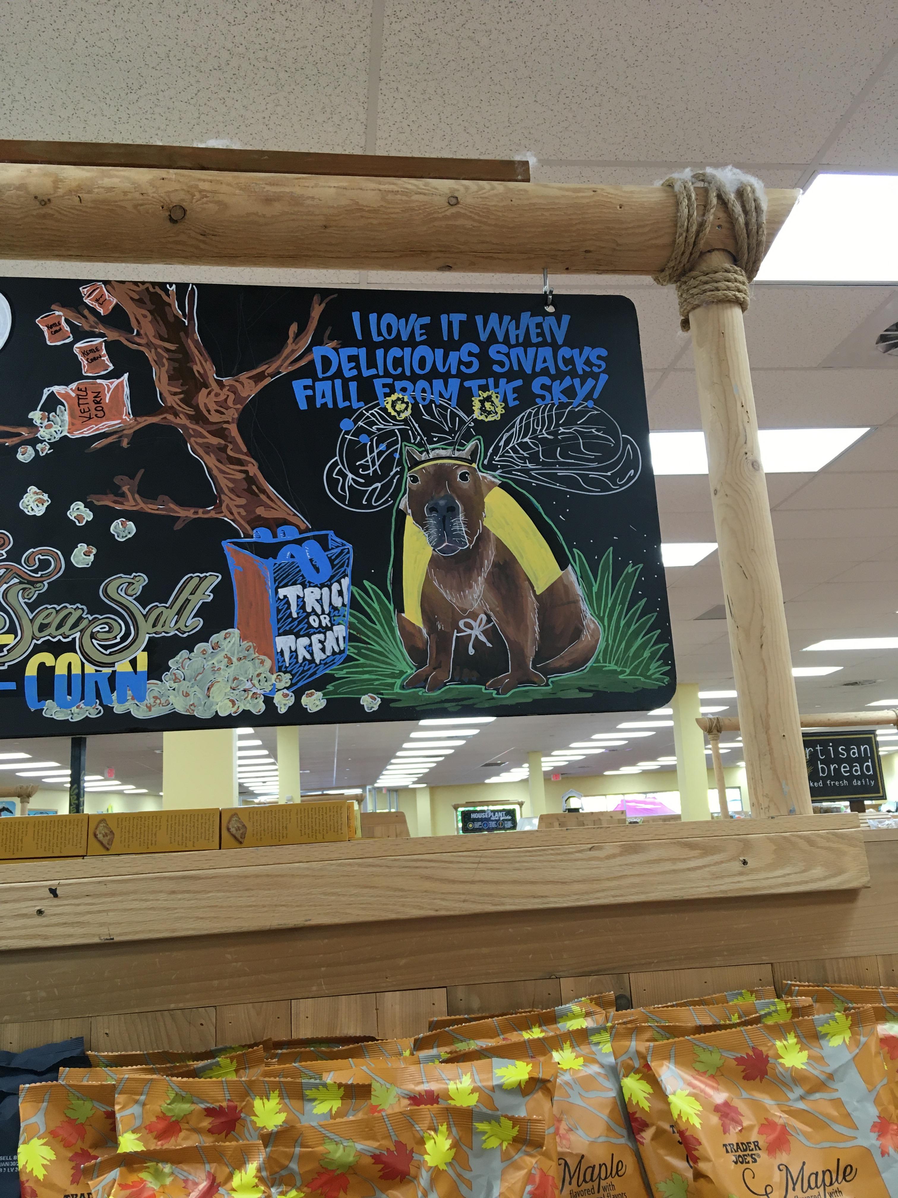 The Capybara is back at Trader Joe’s ️ | Scrolller