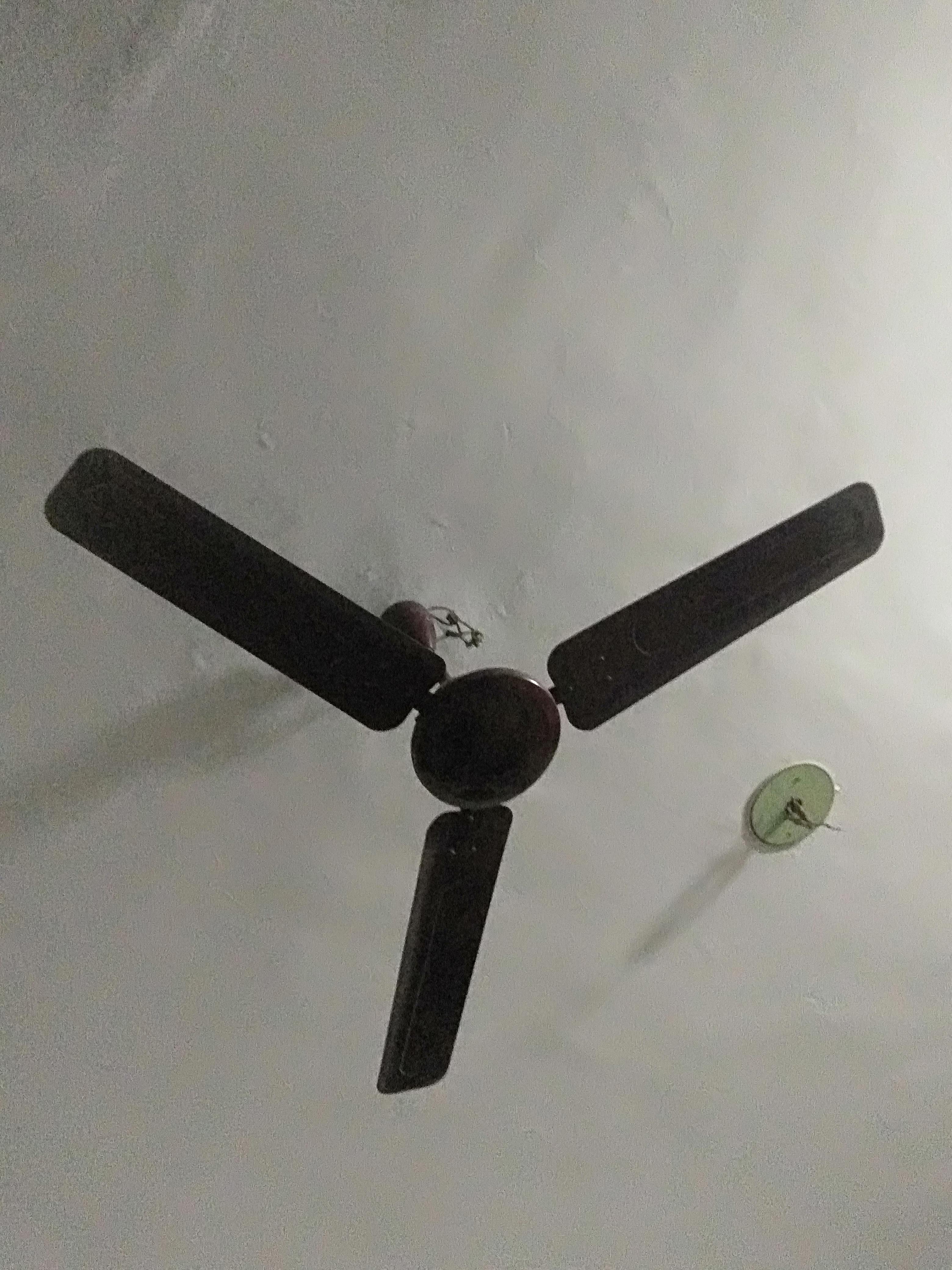 The ceiling fan over my bed deserves recognition for working for more than 15 years now | Scrolller