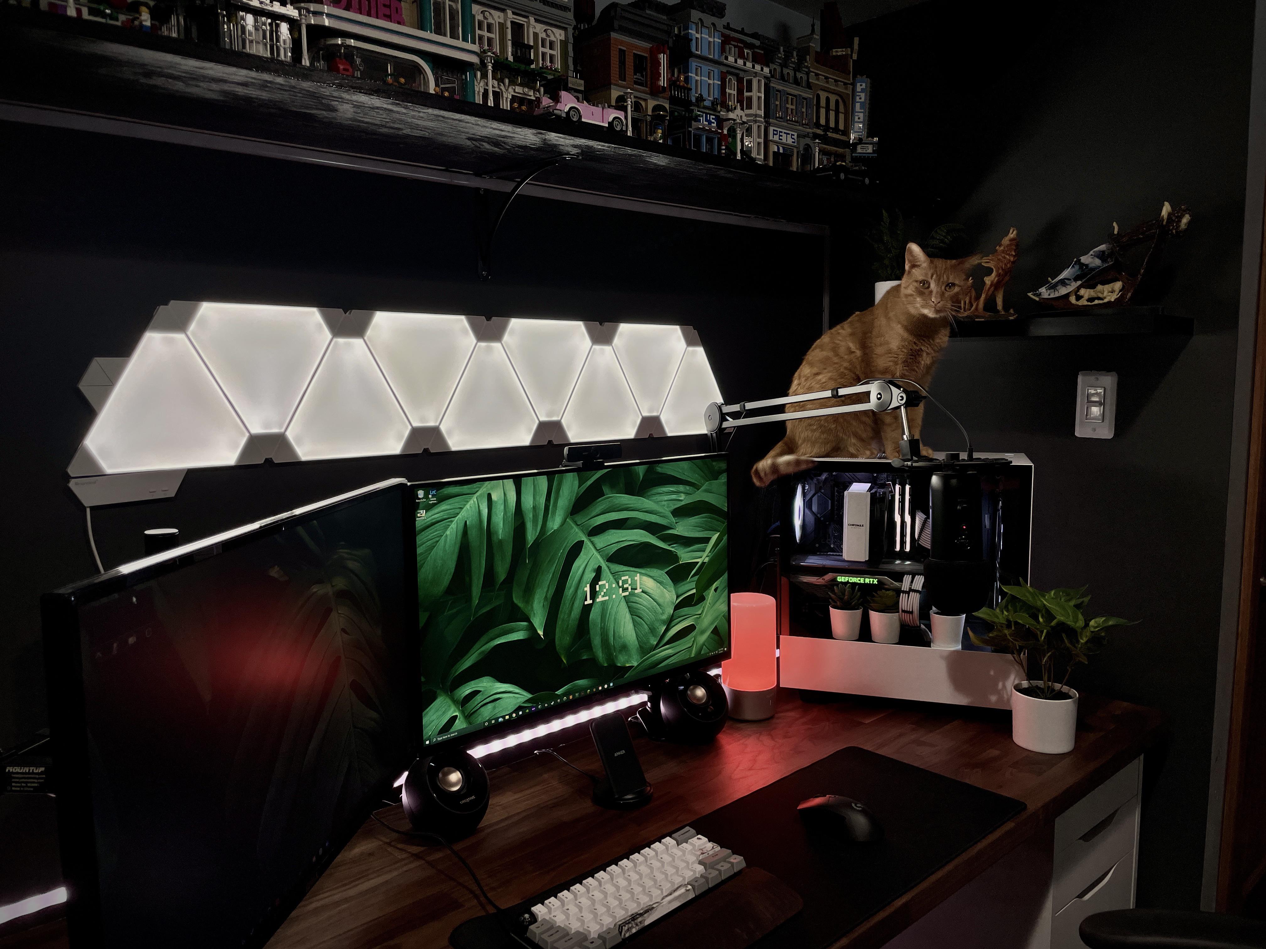 The chill zone | Scrolller