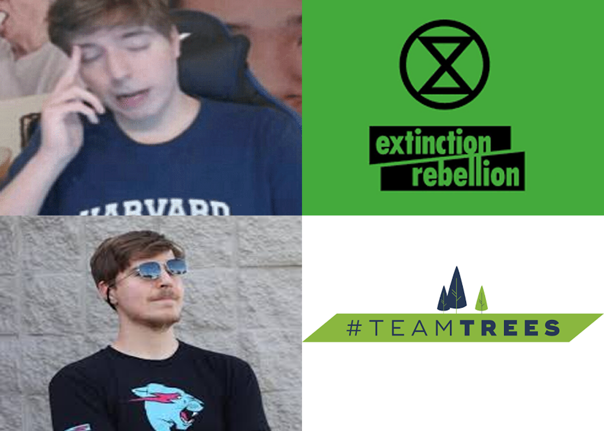 The community actually doing something | Scrolller