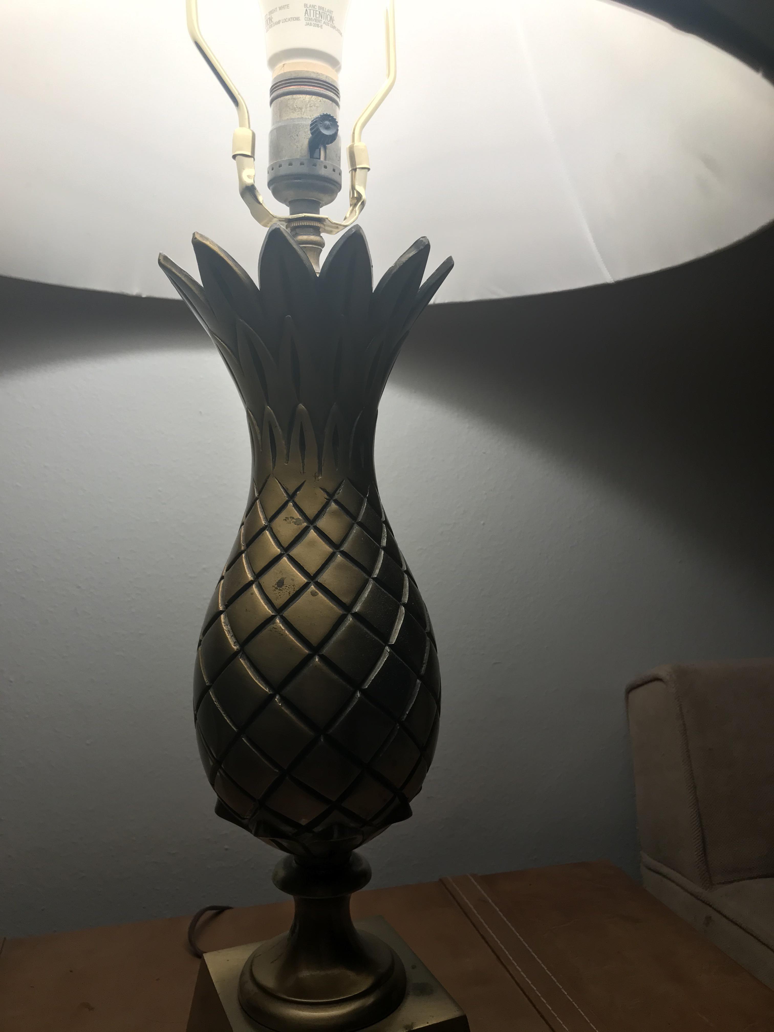 The couple I catsit for have a pineapple lamp! | Scrolller
