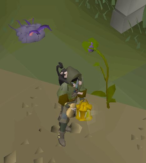 the crew | Scrolller