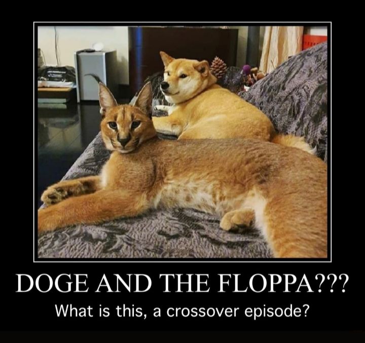 The crossover we needed to save 2020 | Scrolller