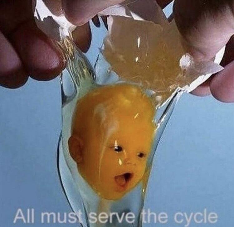 The Cycle Must CONTINUE | Scrolller