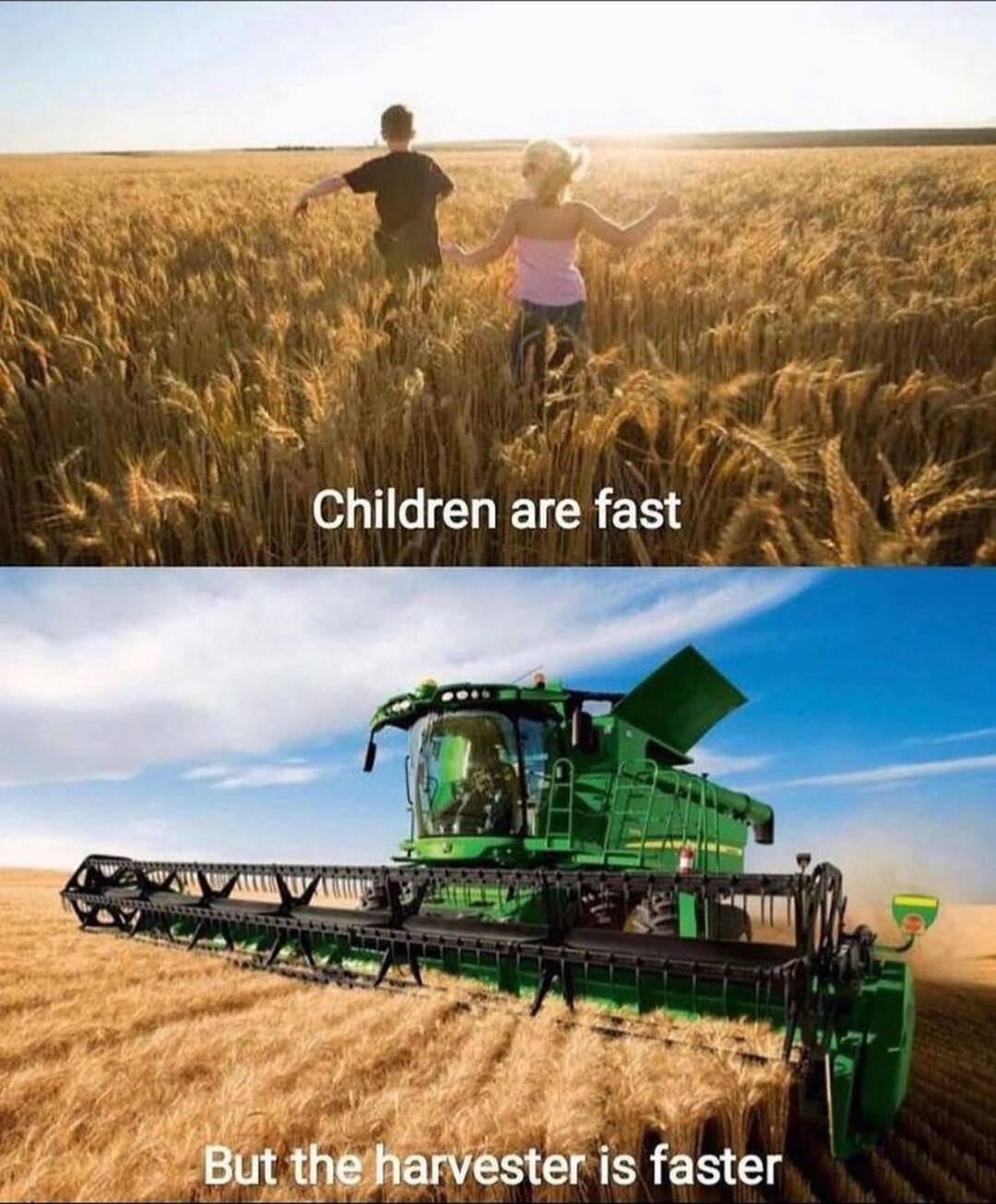 The dark humor | Scrolller