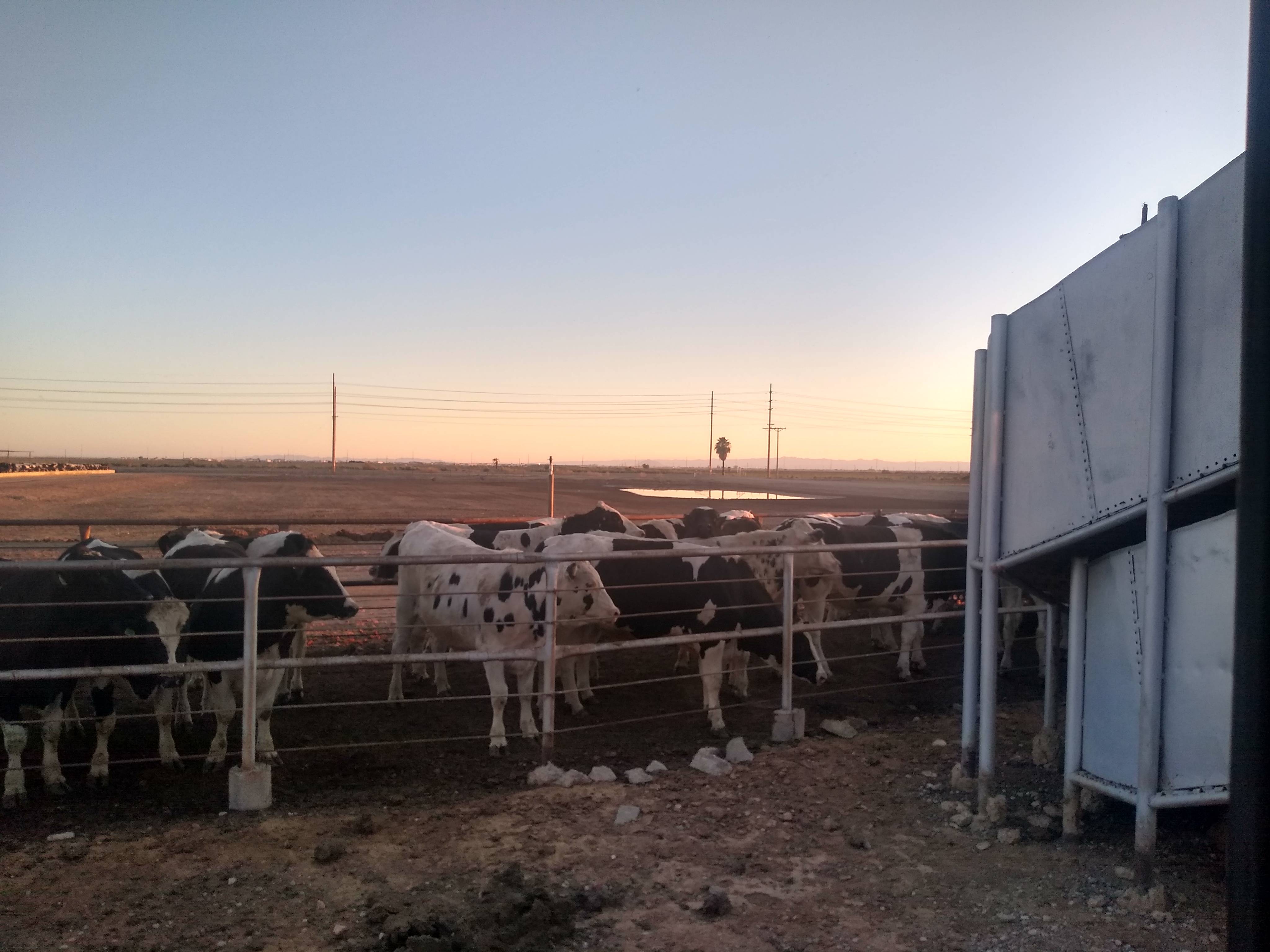 The desert loading some beef. 🥩🍔 | Scrolller