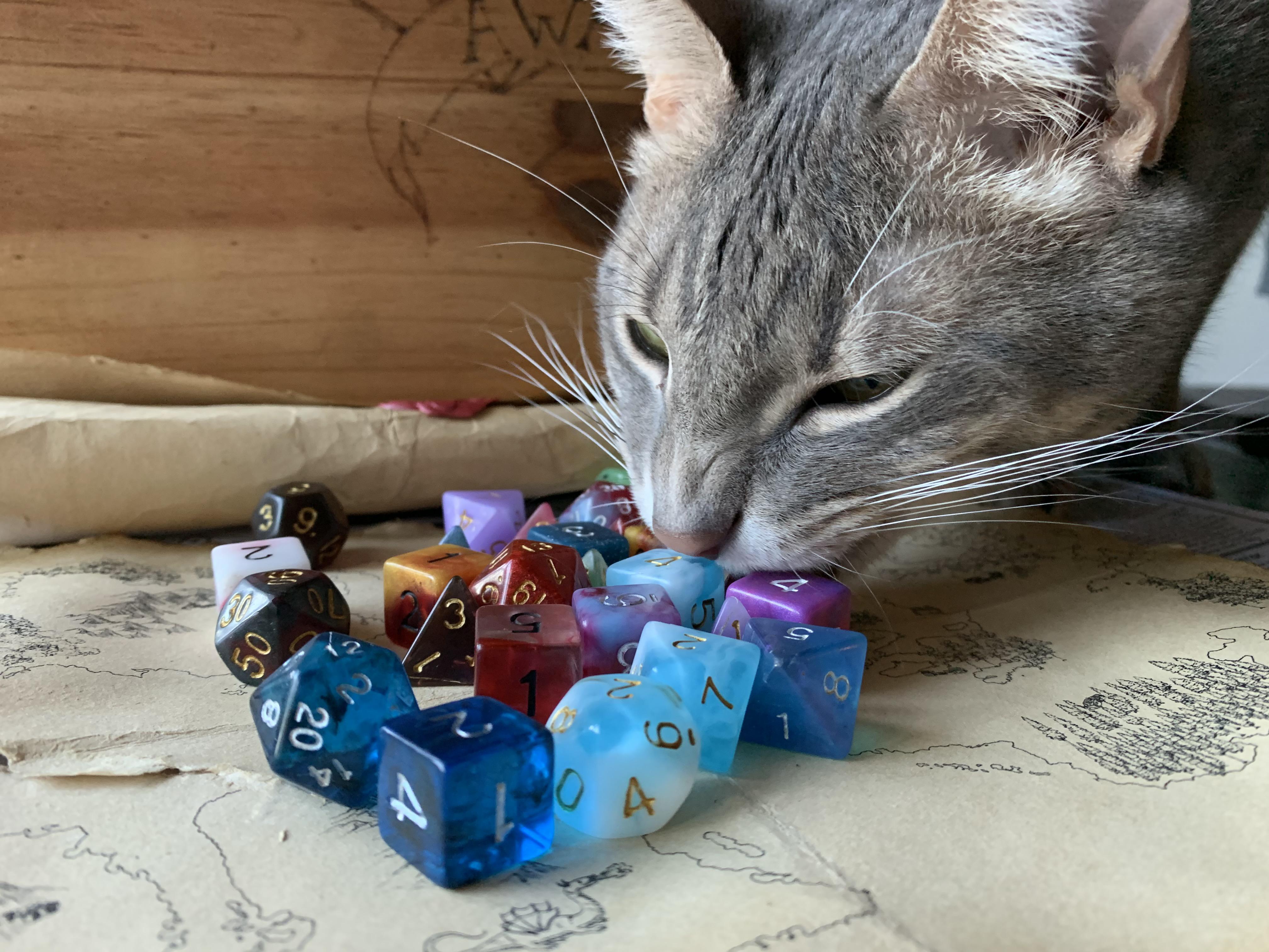 The dice thief failed his stealth check and got caught! Featuring dice made by me. | Scrolller