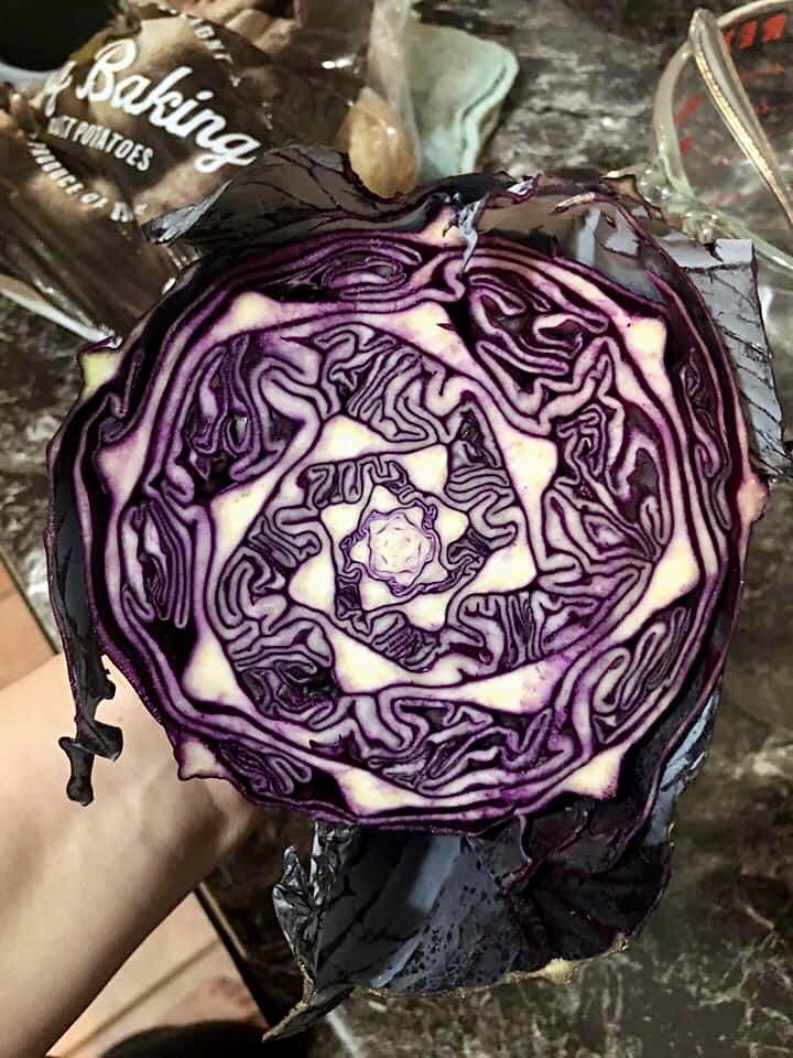 🔥 The double spiral in this cabbage. | Scrolller