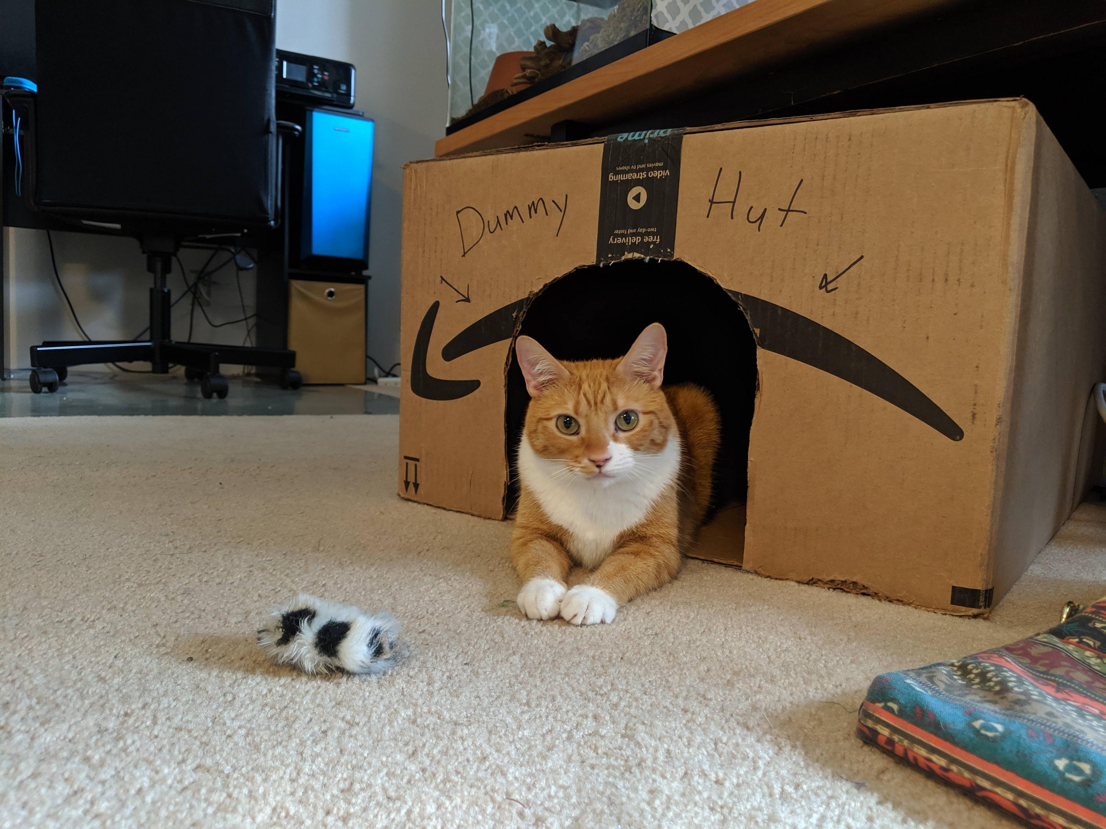 The dummy trap is working | Scrolller