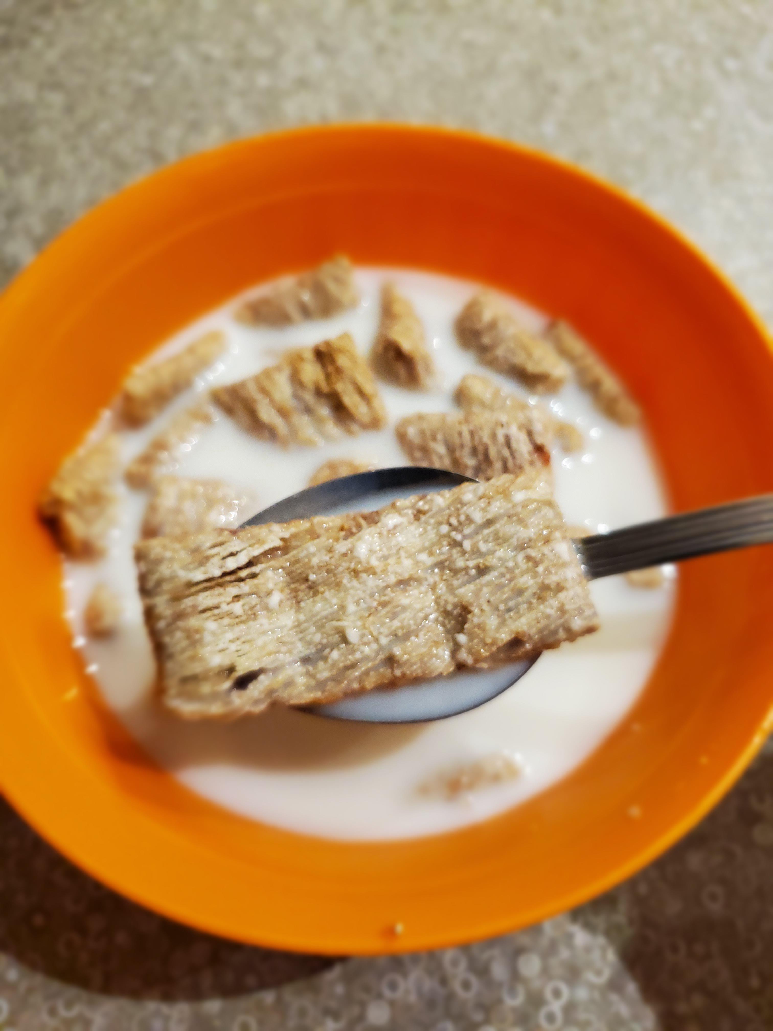 The elusive triple mini wheat | Scrolller