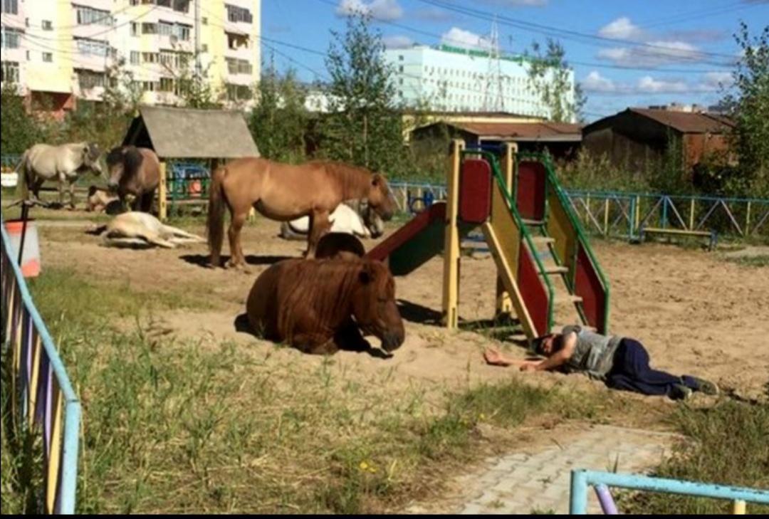 The end is neigh | Scrolller