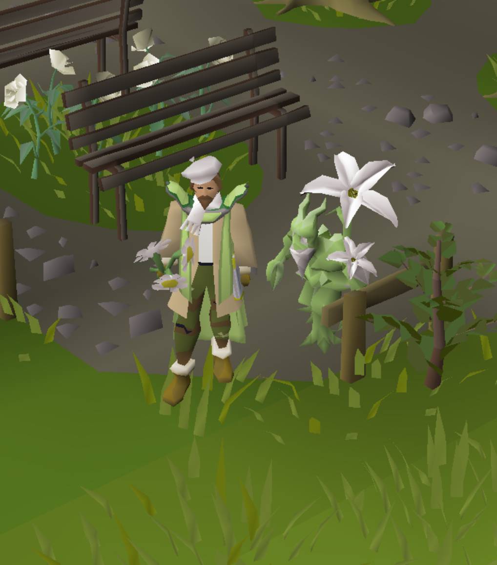 The Everyday Look | Scrolller