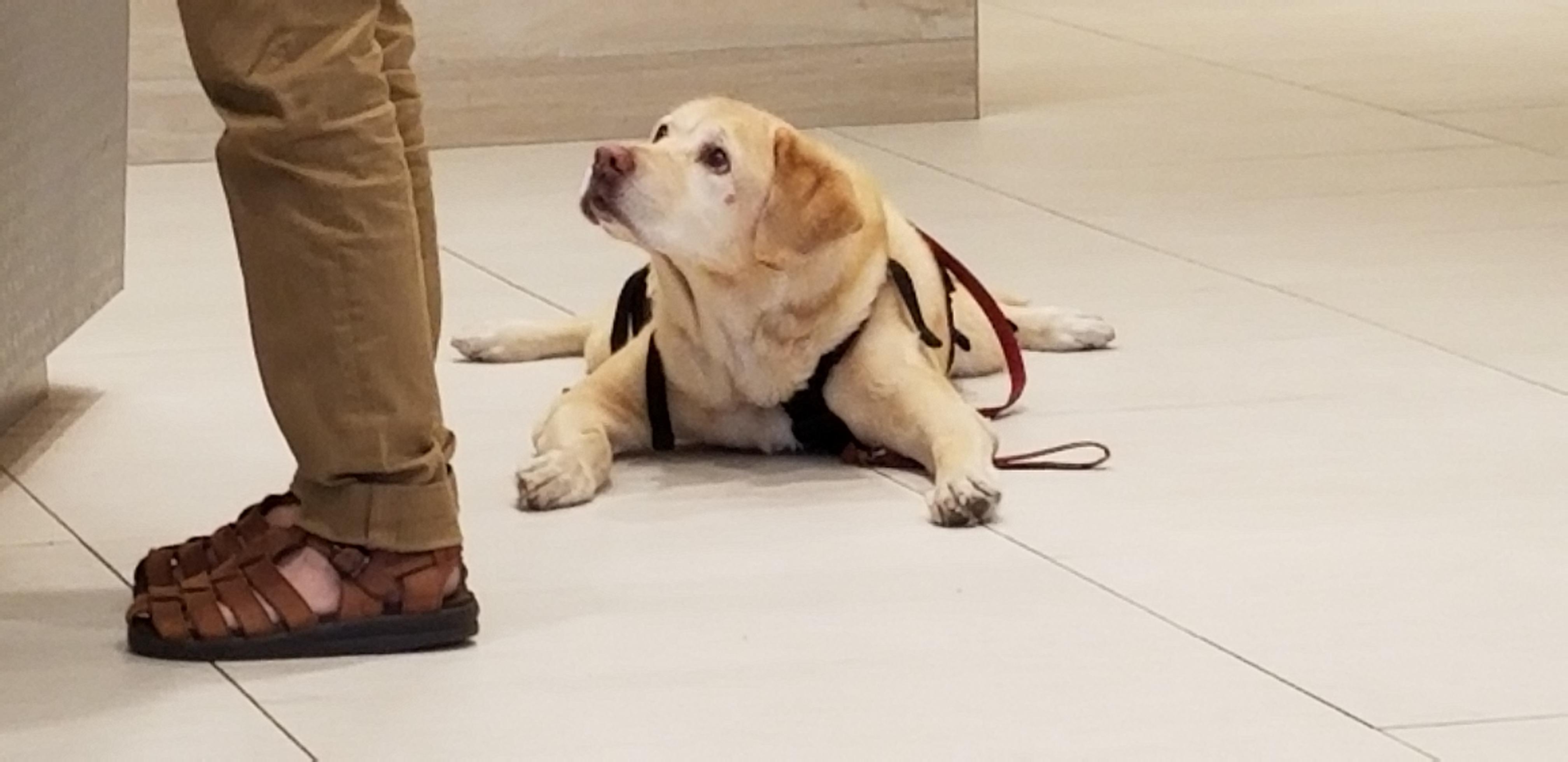 The full sploot spotted at AMC in NYC | Scrolller