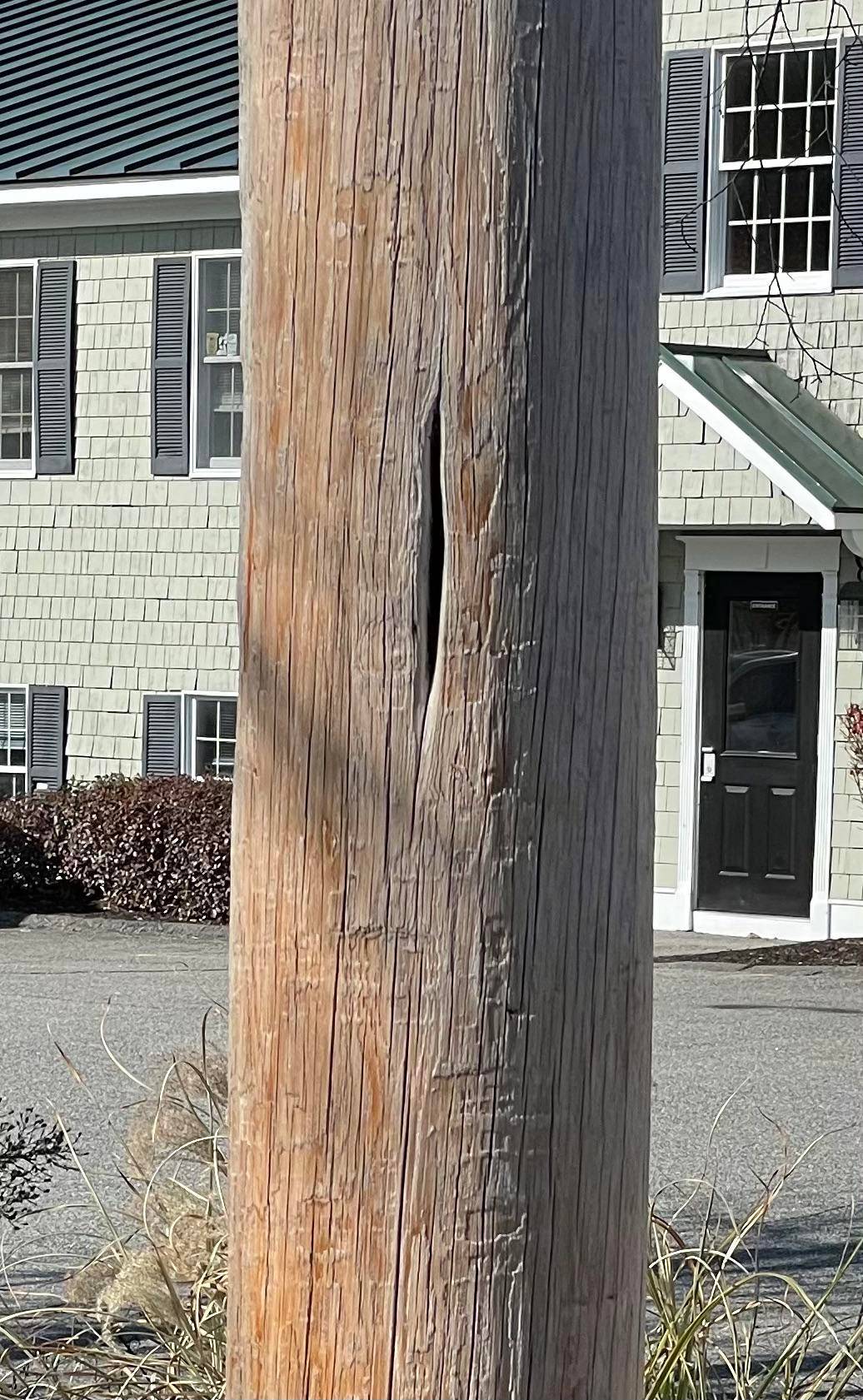 The gash in this telephone pole | Scrolller