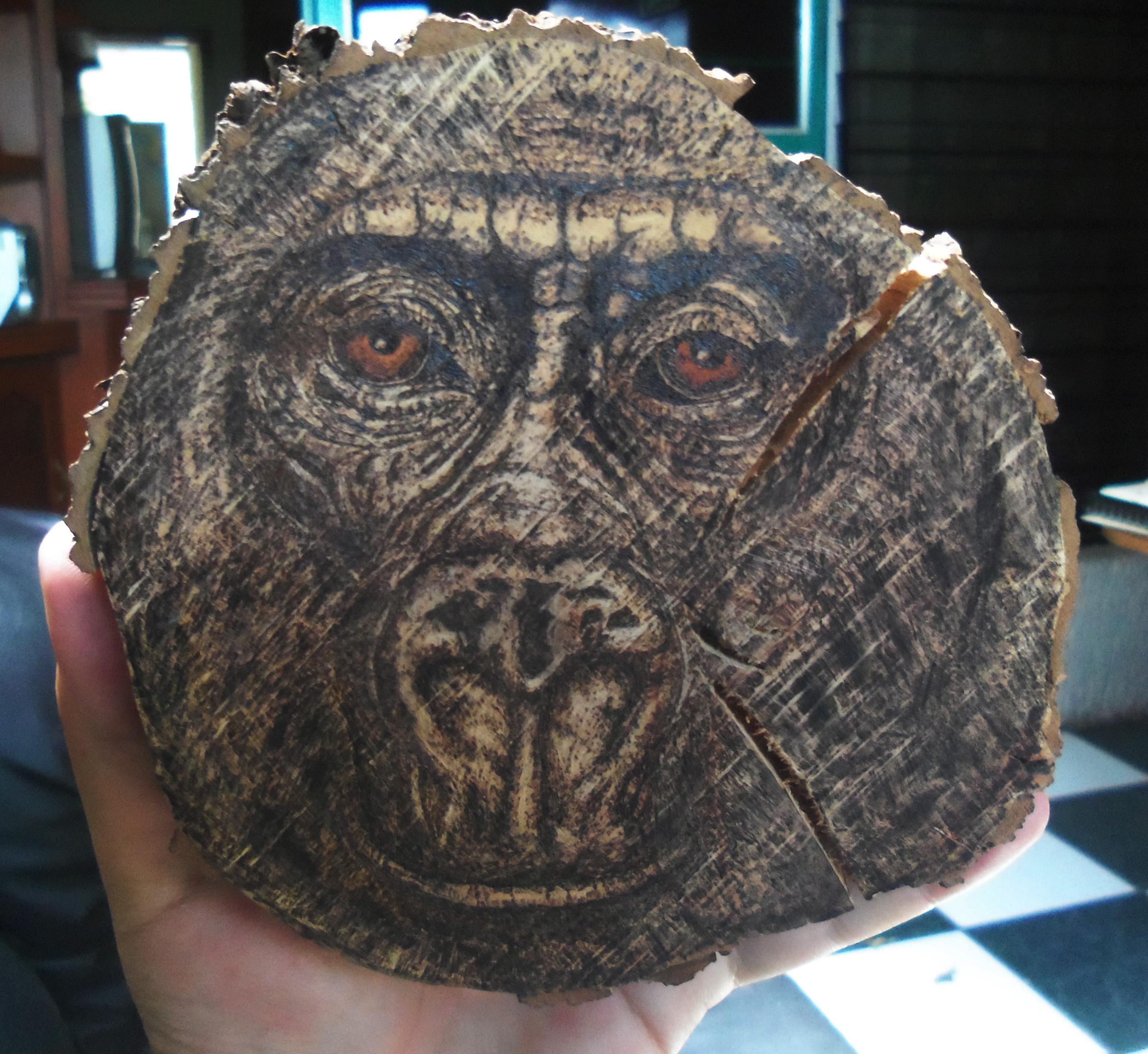 The gorilla | Scrolller