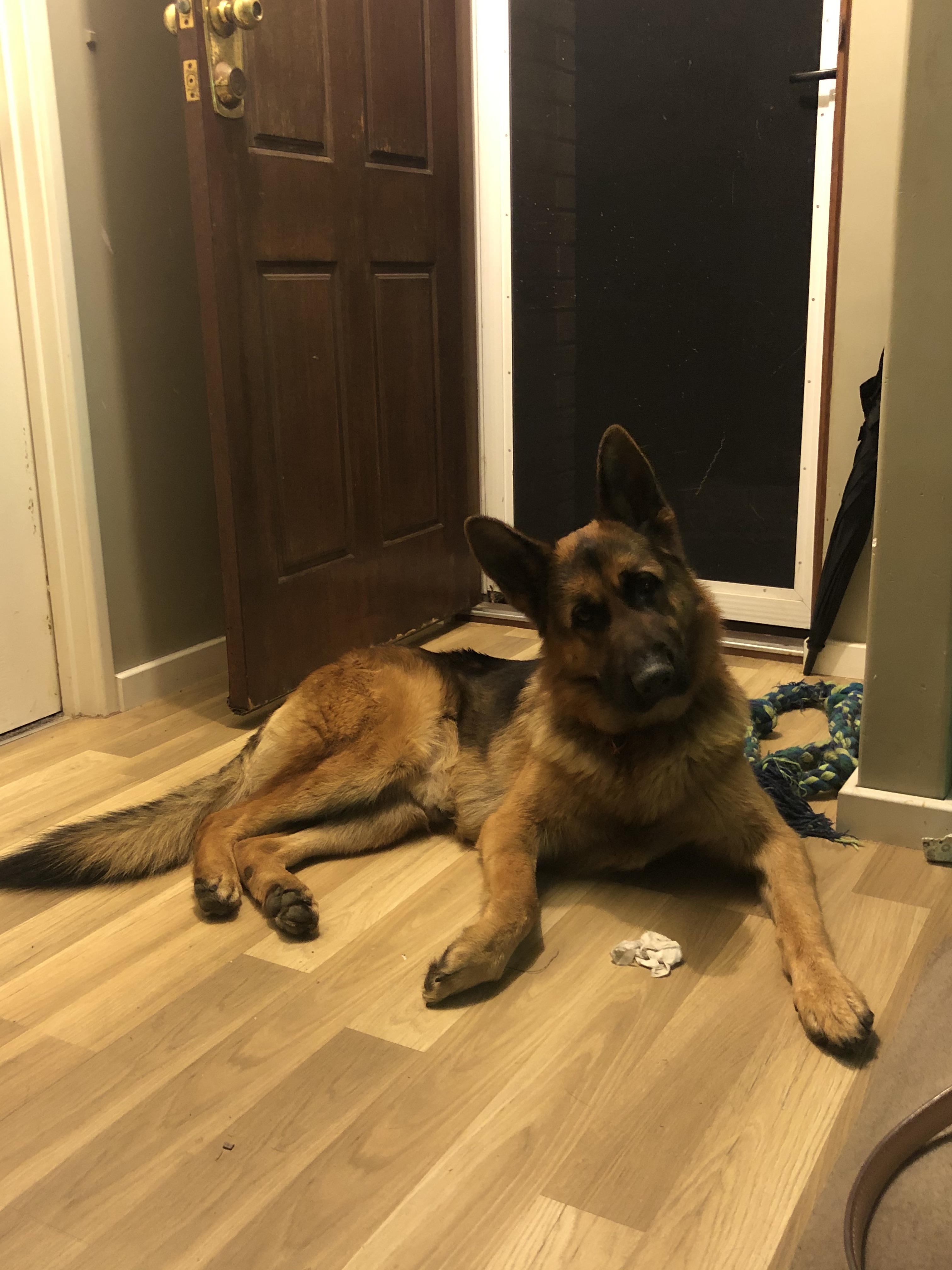 The head tilt never gets old | Scrolller