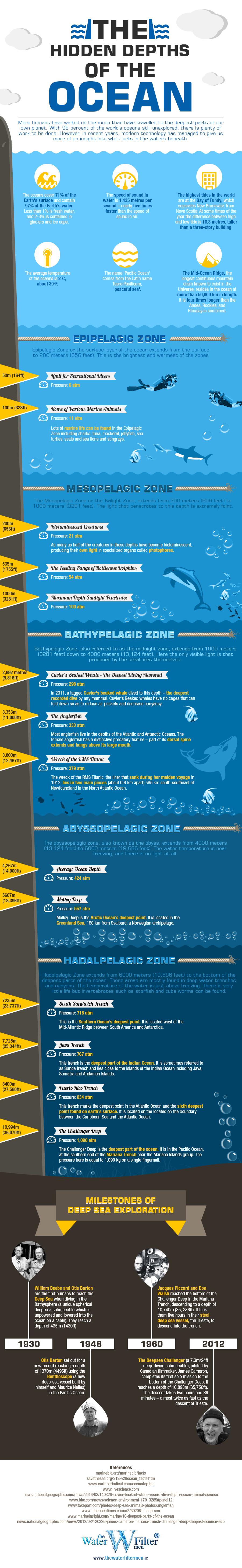 The Hidden Depths of the Ocean | Scrolller