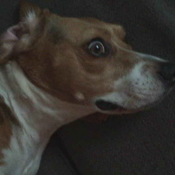 The horror... | Scrolller