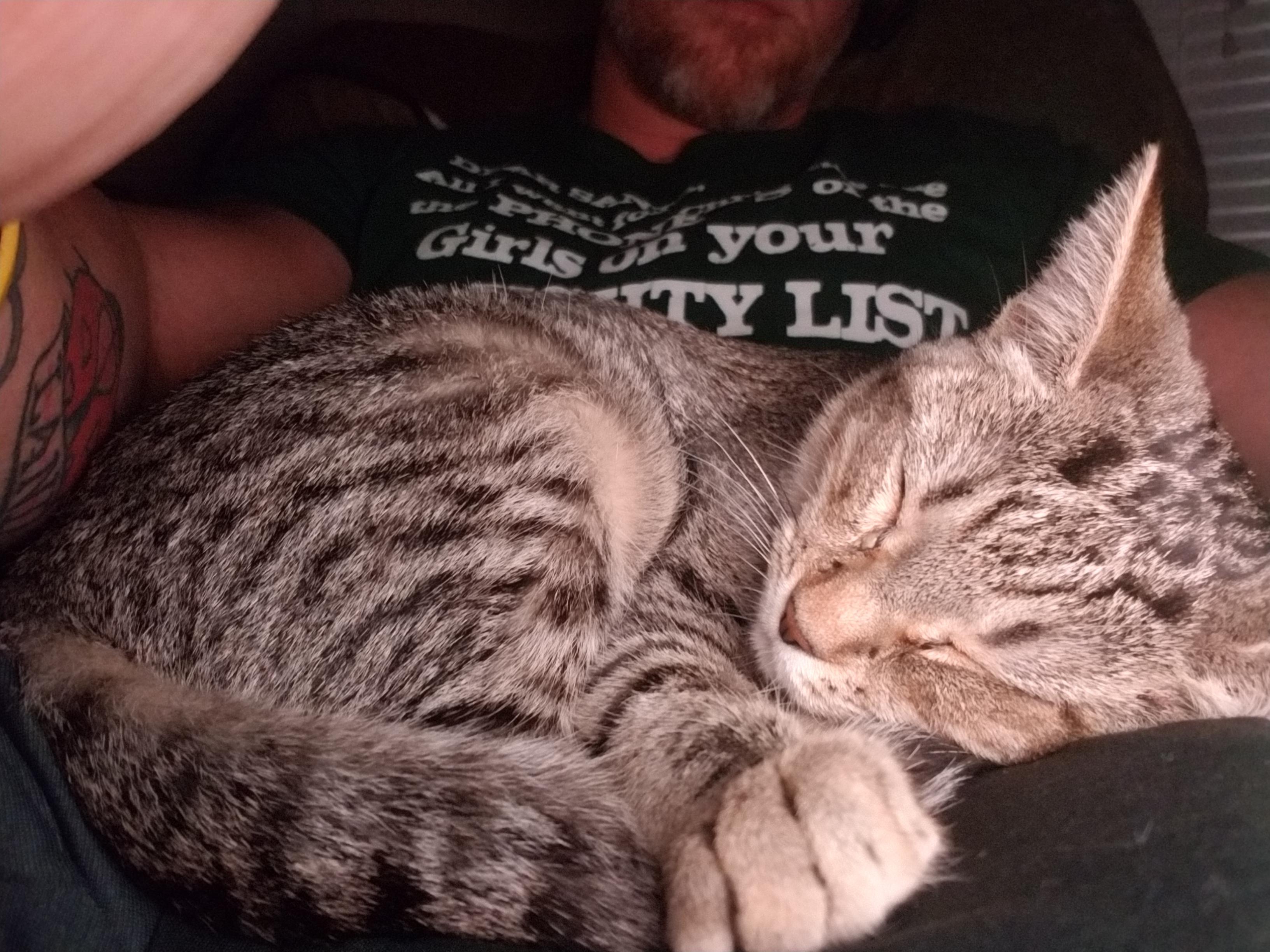 The imfamous snoozing loaf | Scrolller