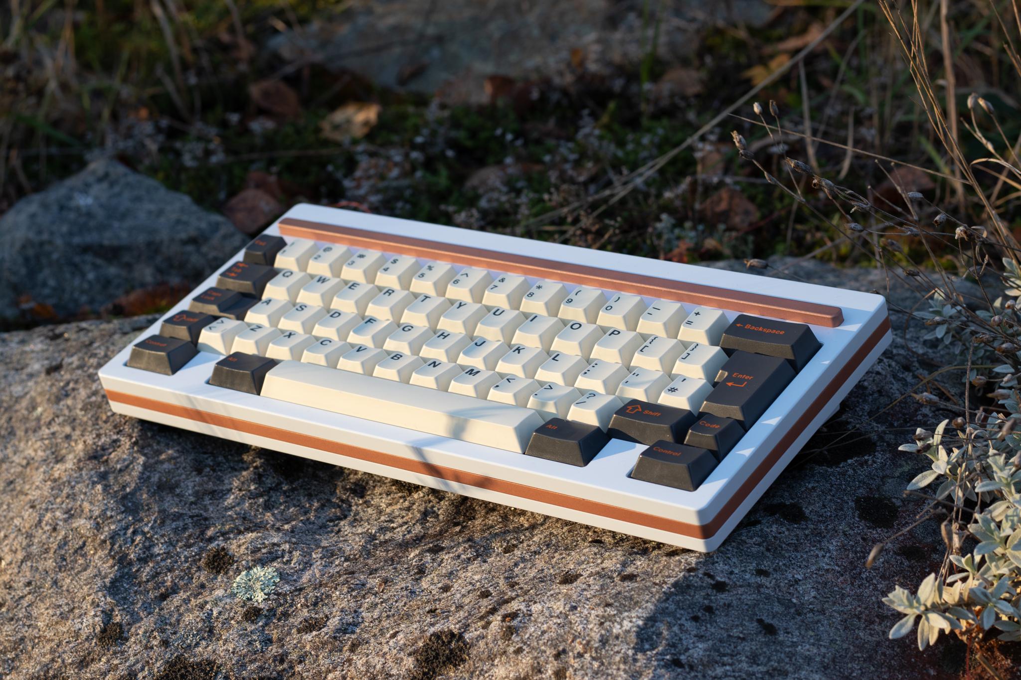 The J-02. Basking. | Scrolller