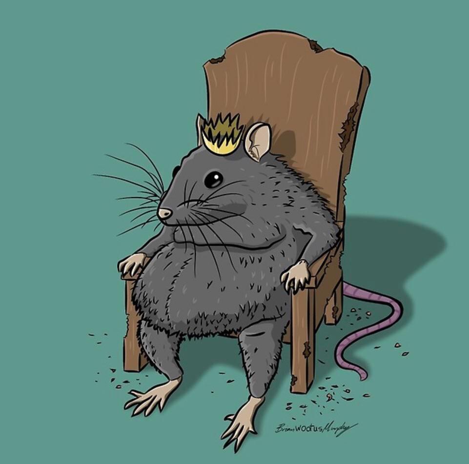 The King | Scrolller