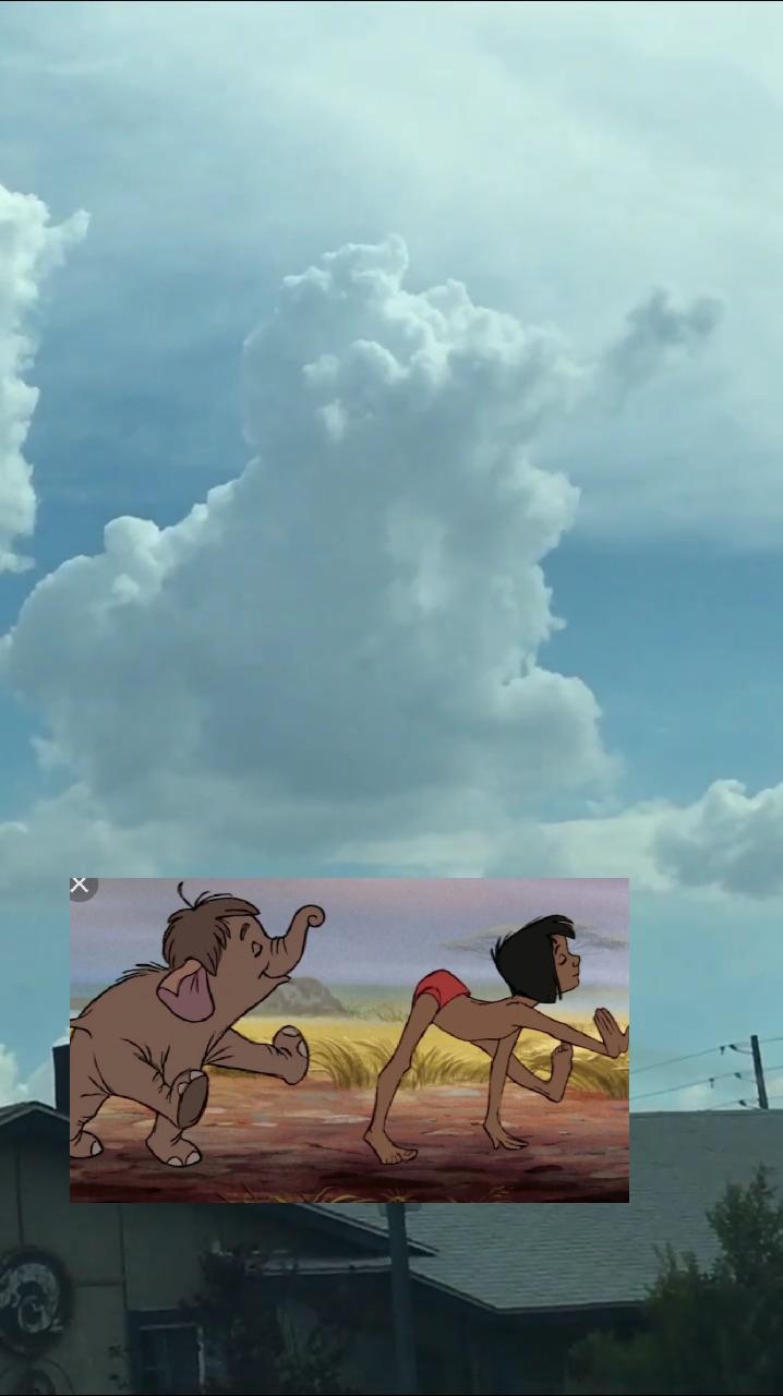 The Little Jungle Book Elephant 😃 | Scrolller